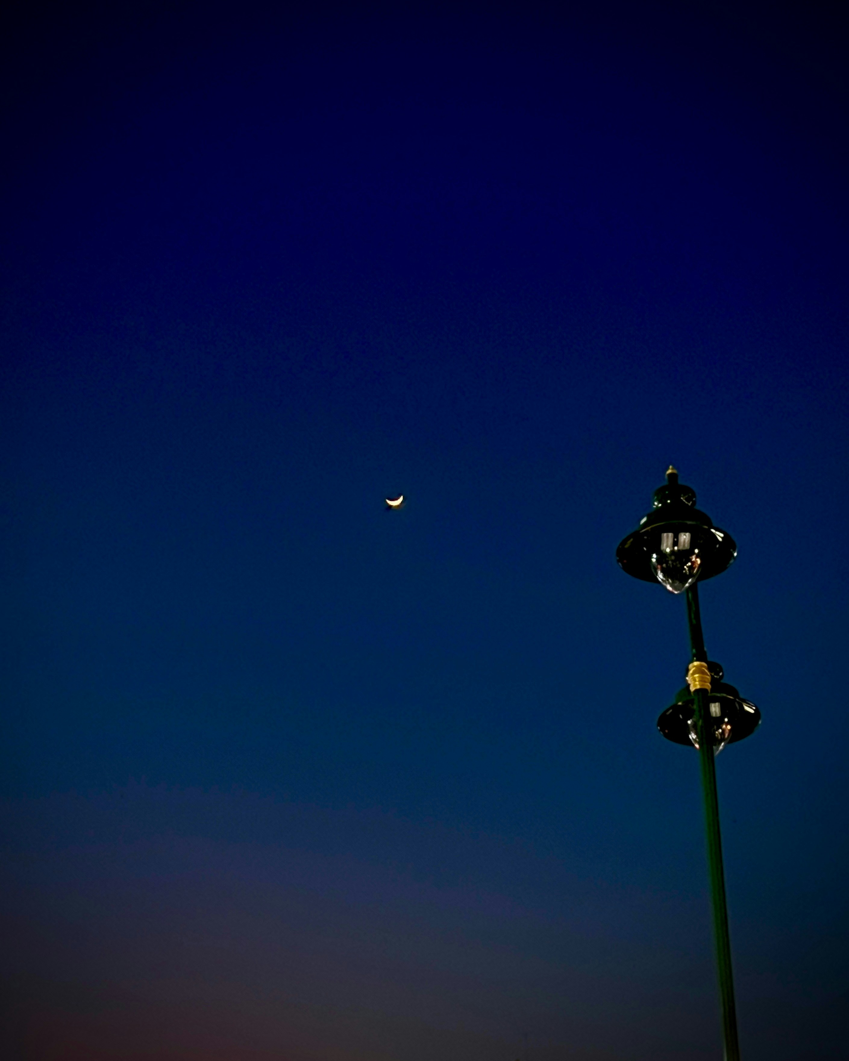Crescent in the City Night: A Lone Crescent and a Street Lamp
