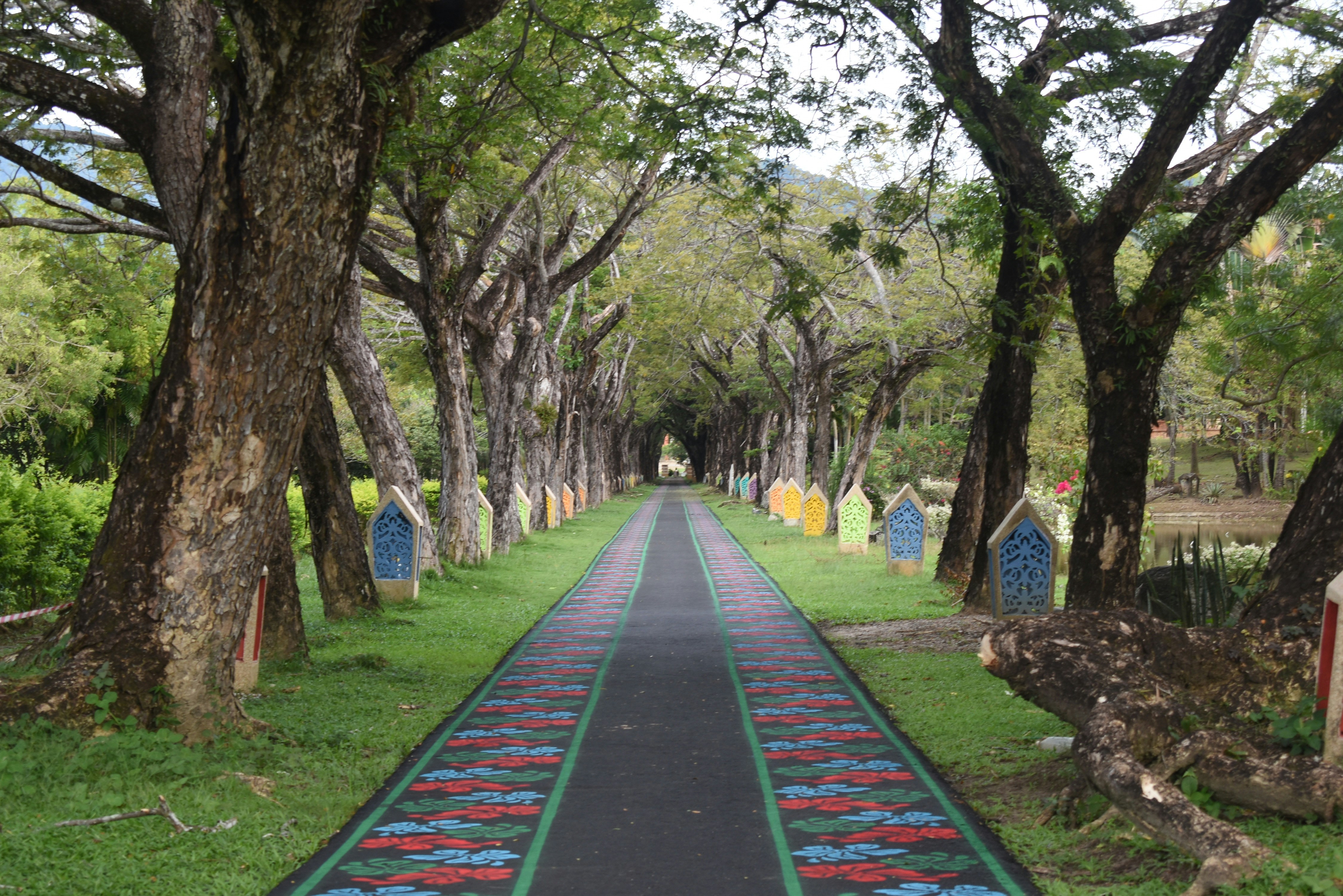 A long painted path in the middle of a cemetery photo – Free Forest ...
