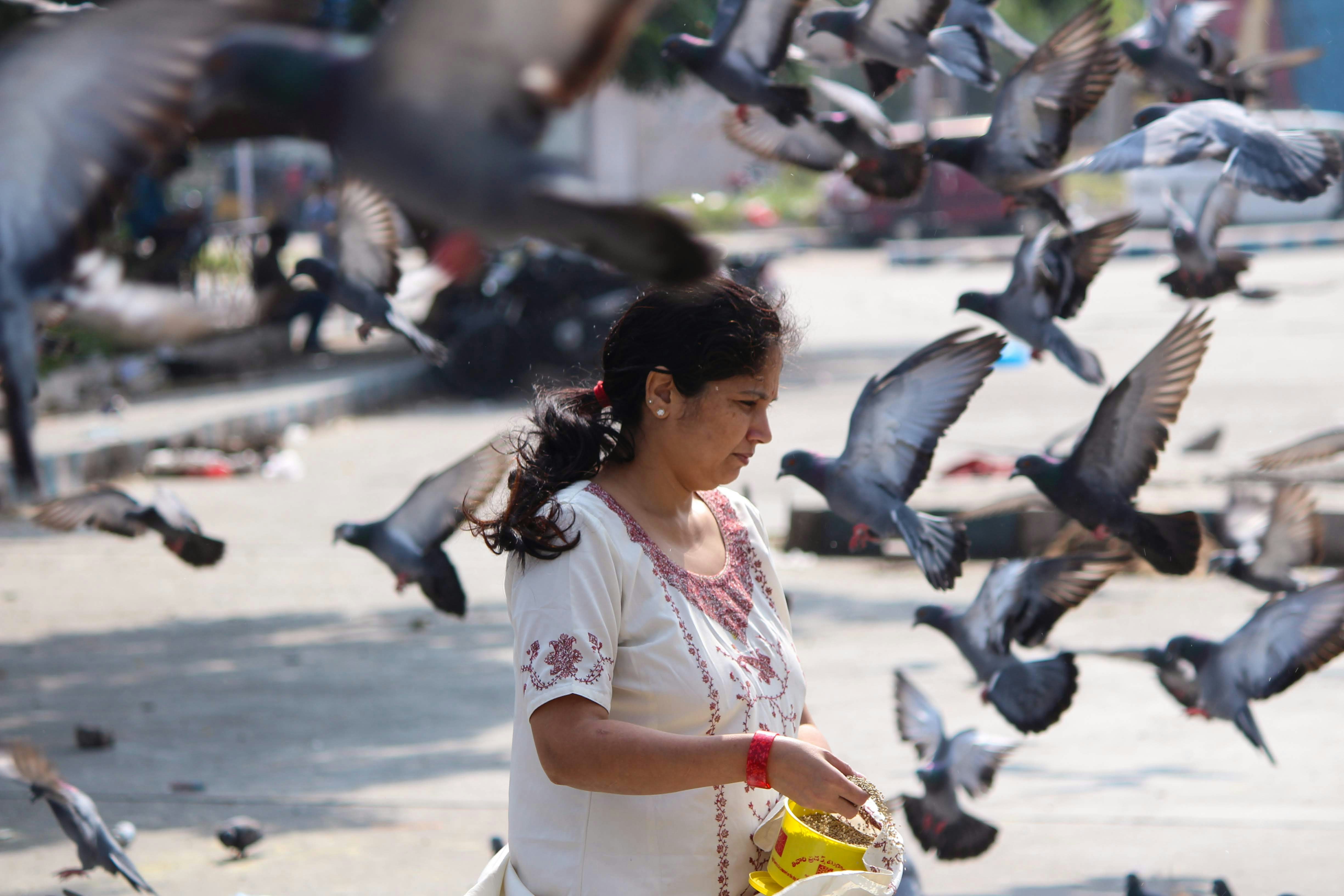 Wings Over a Quiet Square: A Woman Among Flocking Pigeons