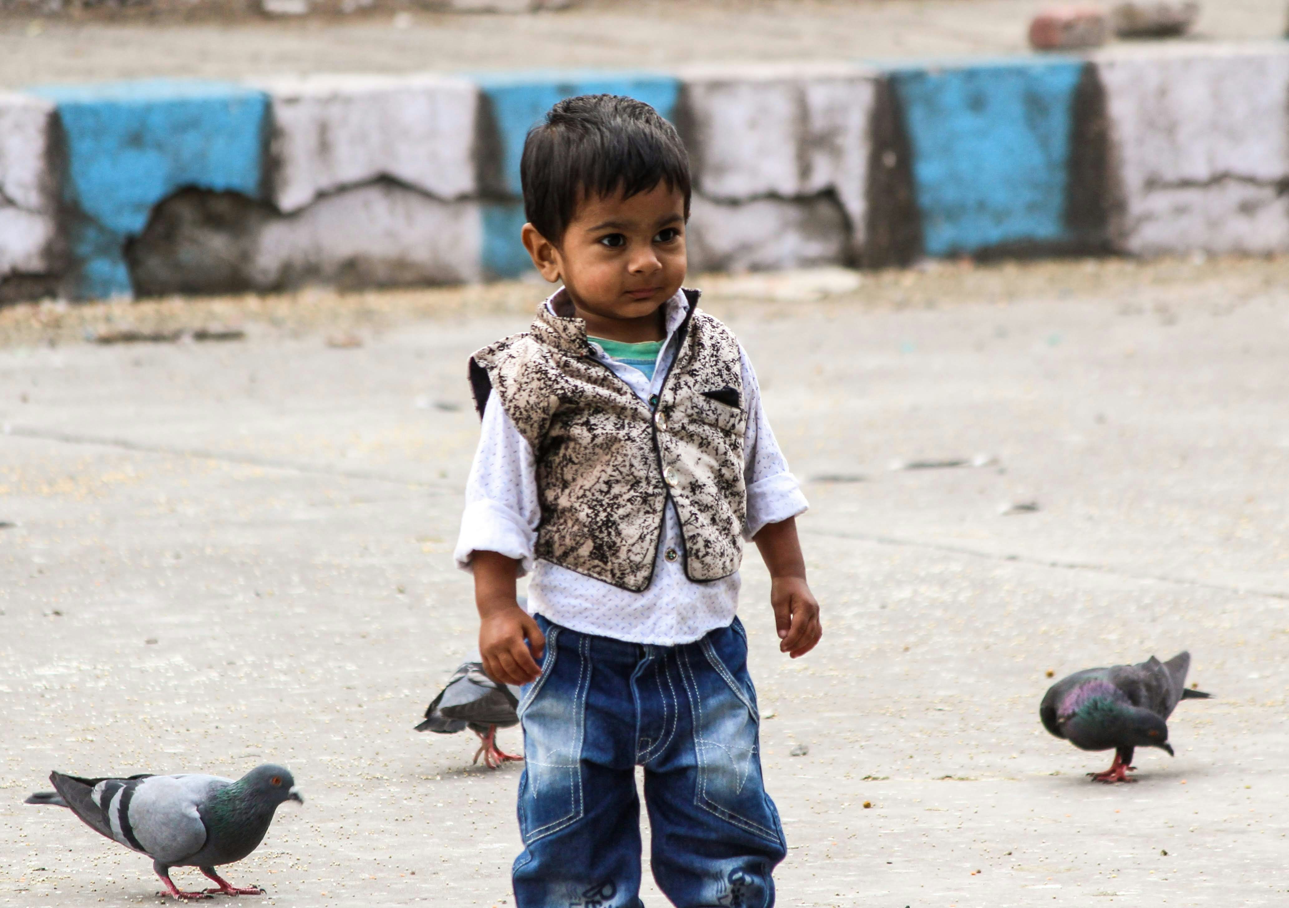 Child in worn vest watches pigeons on dusty plaza