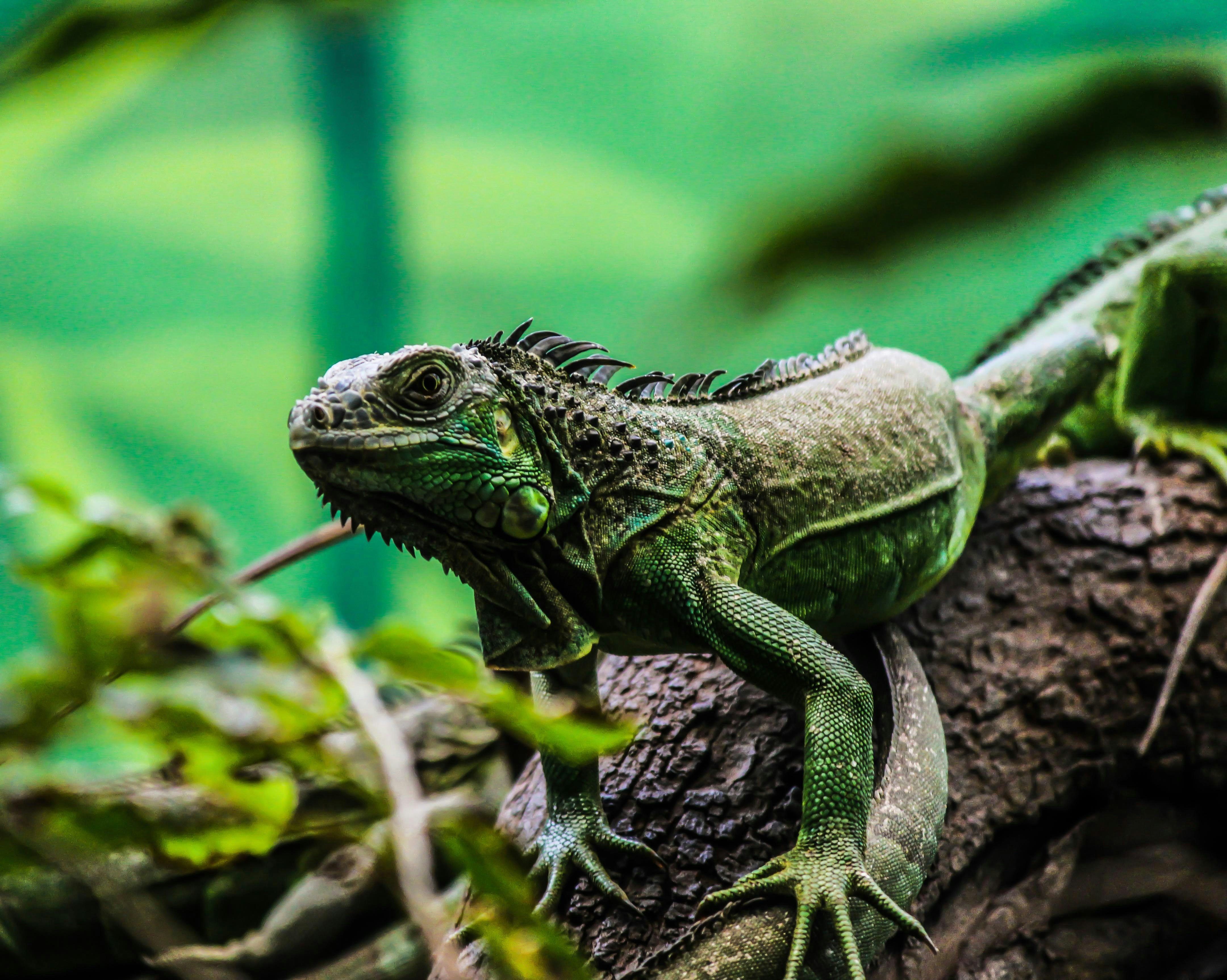 Photo by Aditya Sethia with Canon EOS 1300D