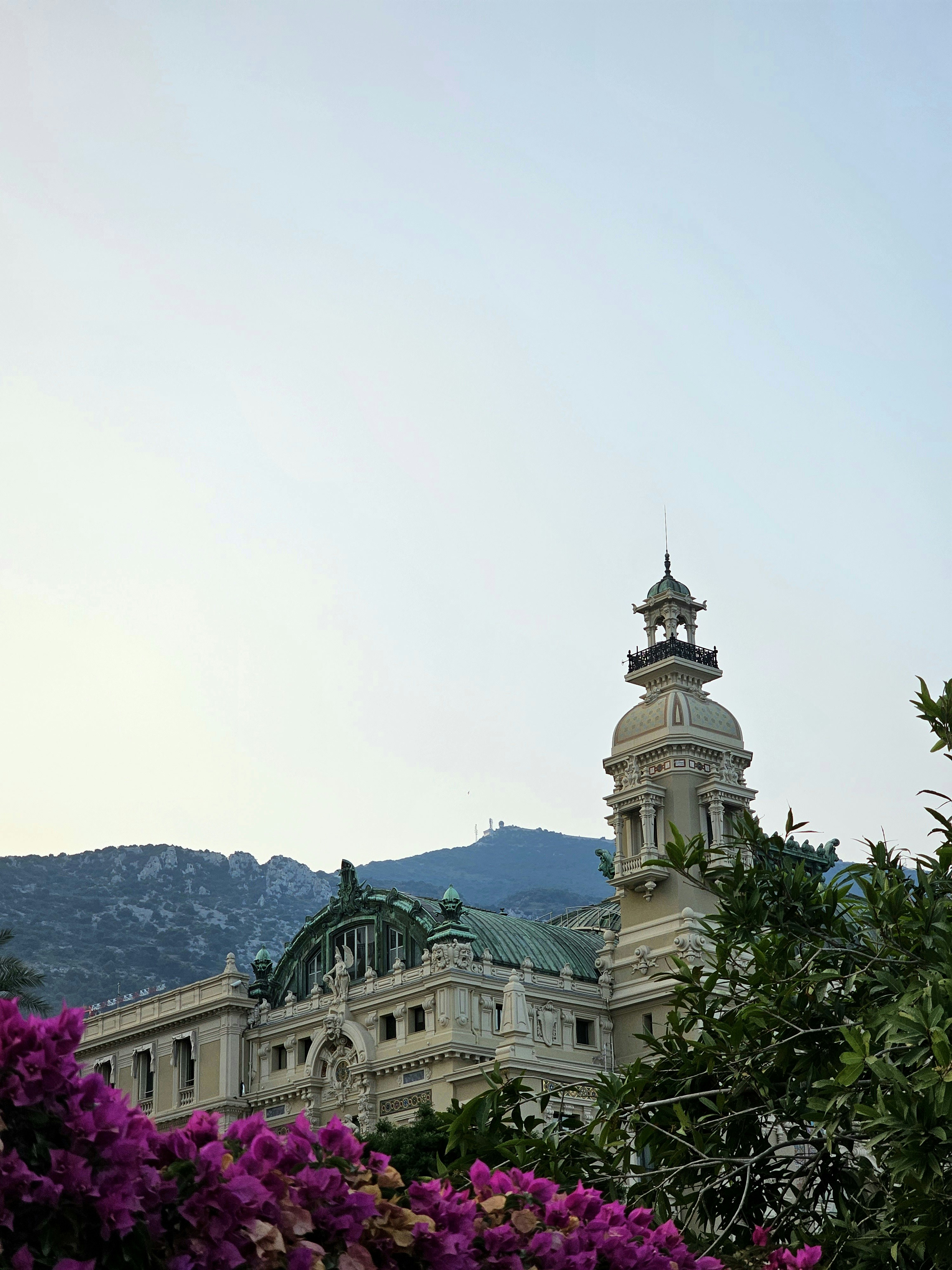 Sunlit Clock Tower Rising Over Bougainvillea at a Historic City Hall