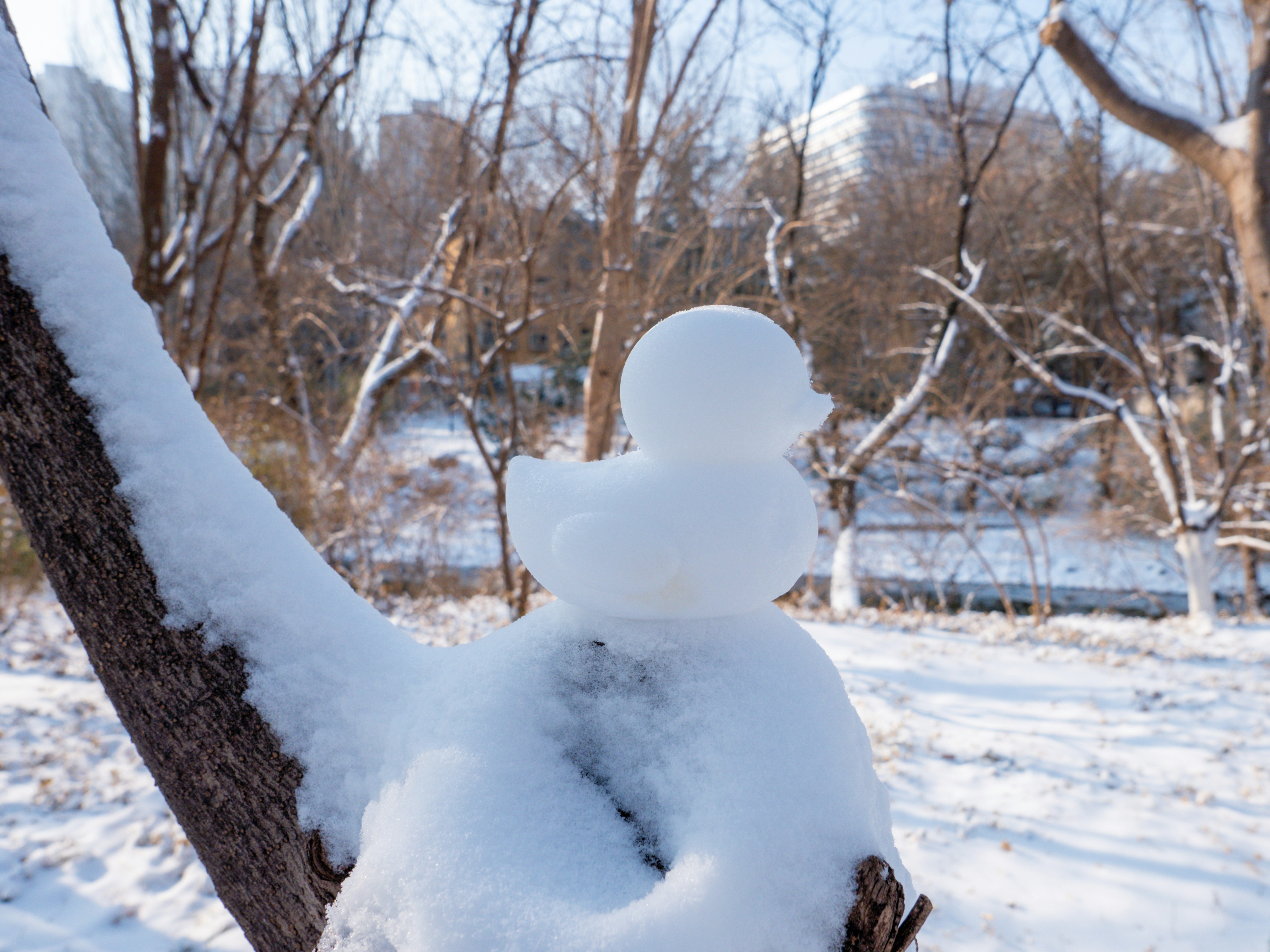Snowman perched on a snow-covered branch in a quiet urban park, with leafless trees and distant buildings in winter light.