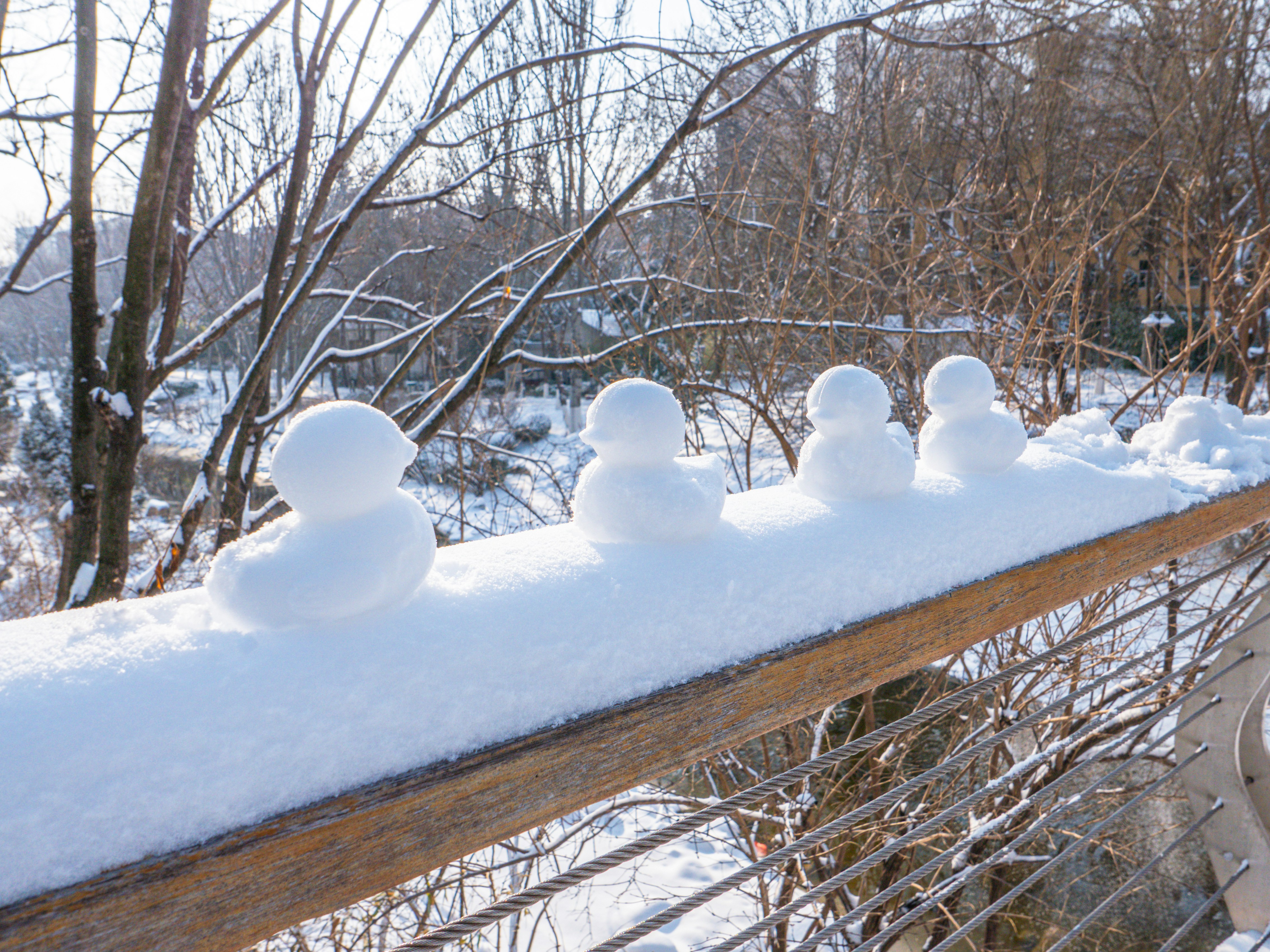 A Row of Snow Sentinels: Frosty Figures Perched on a Weathered Wooden Railing