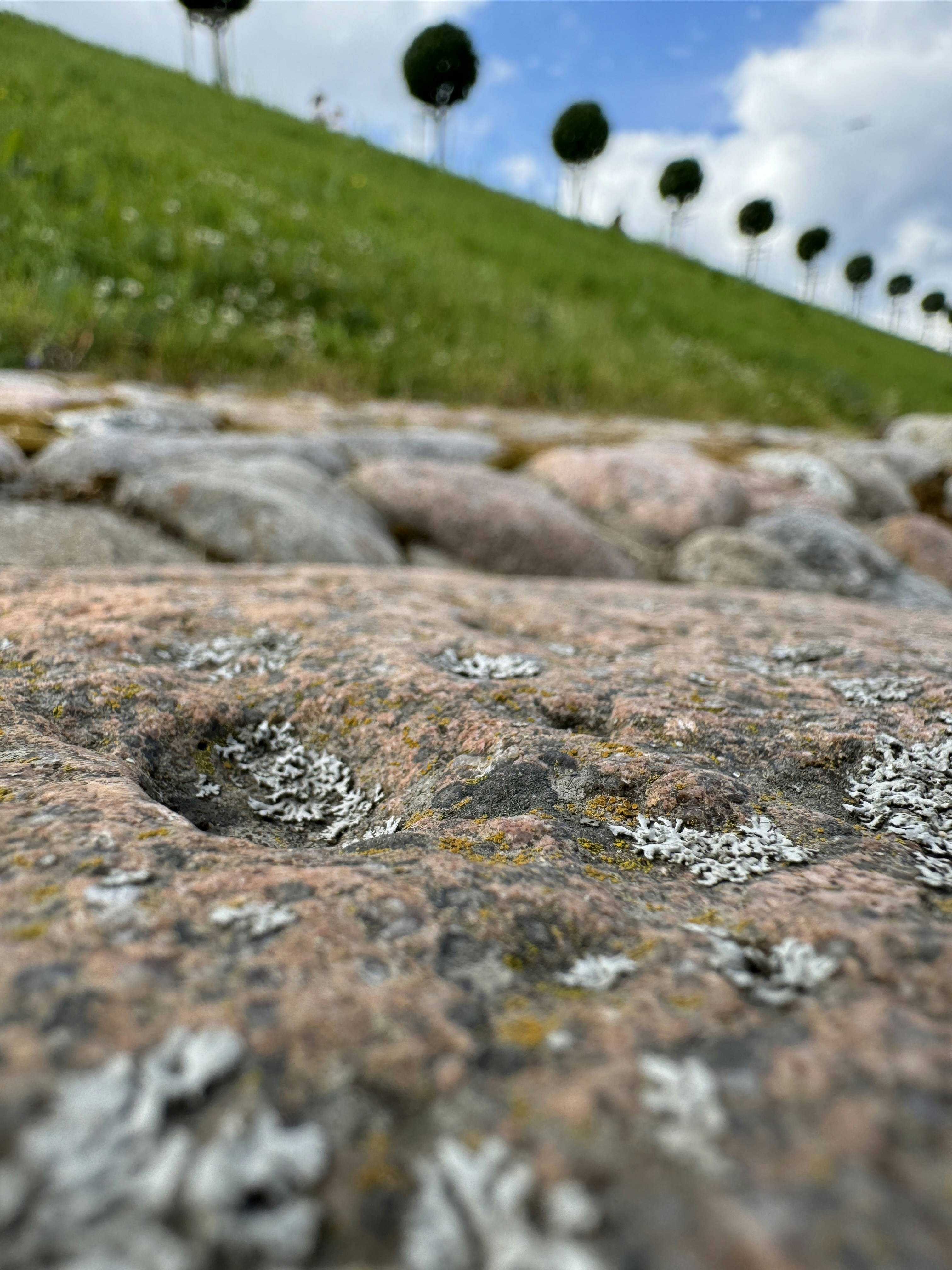 Spherical Sentinels Above a Lichen-Kissed Granite