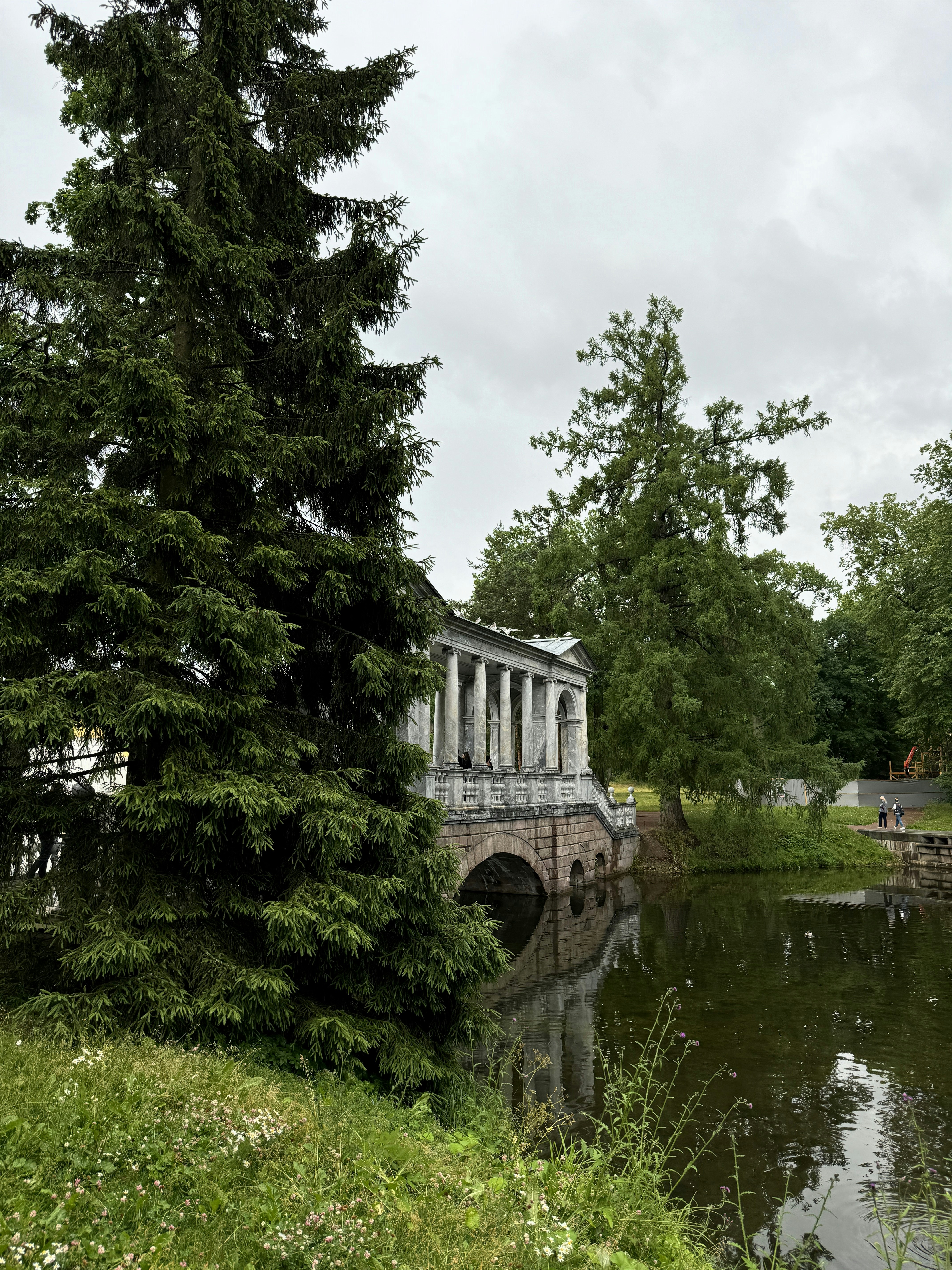 Arched Bridge Over a Serene Pond Framed by Pines in a Quiet Park