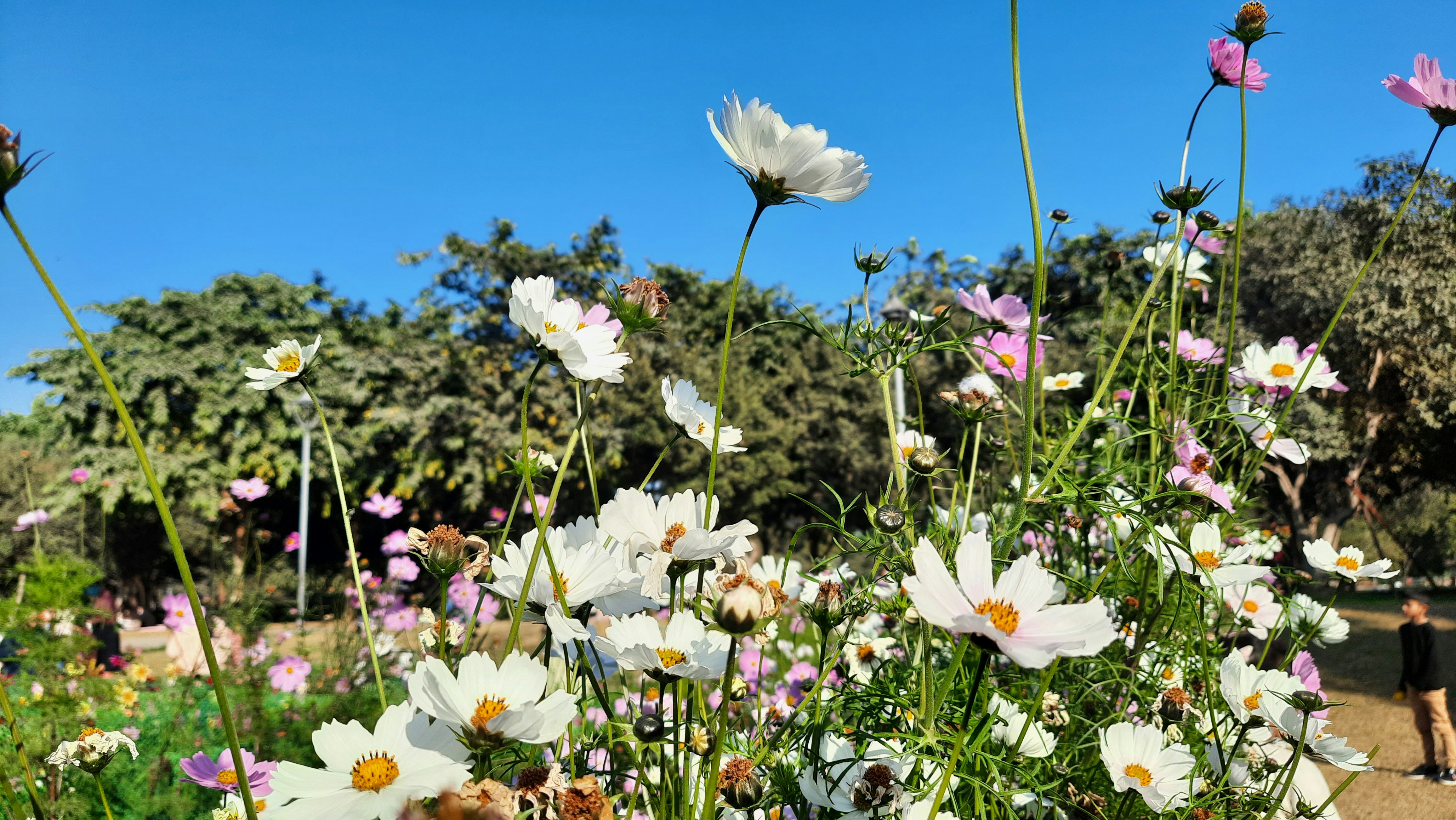 Photo by Visual Voir with Samsung Galaxy M31s