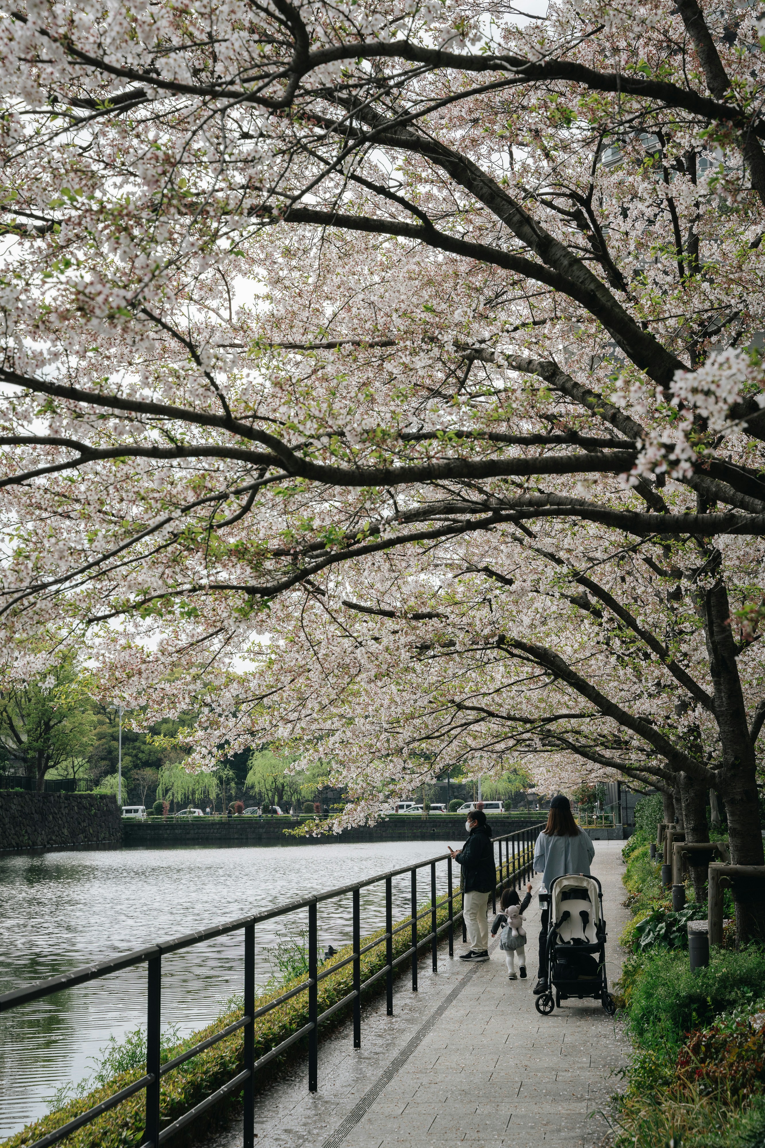 Photo by Nick Night with Sony Alpha 7R II