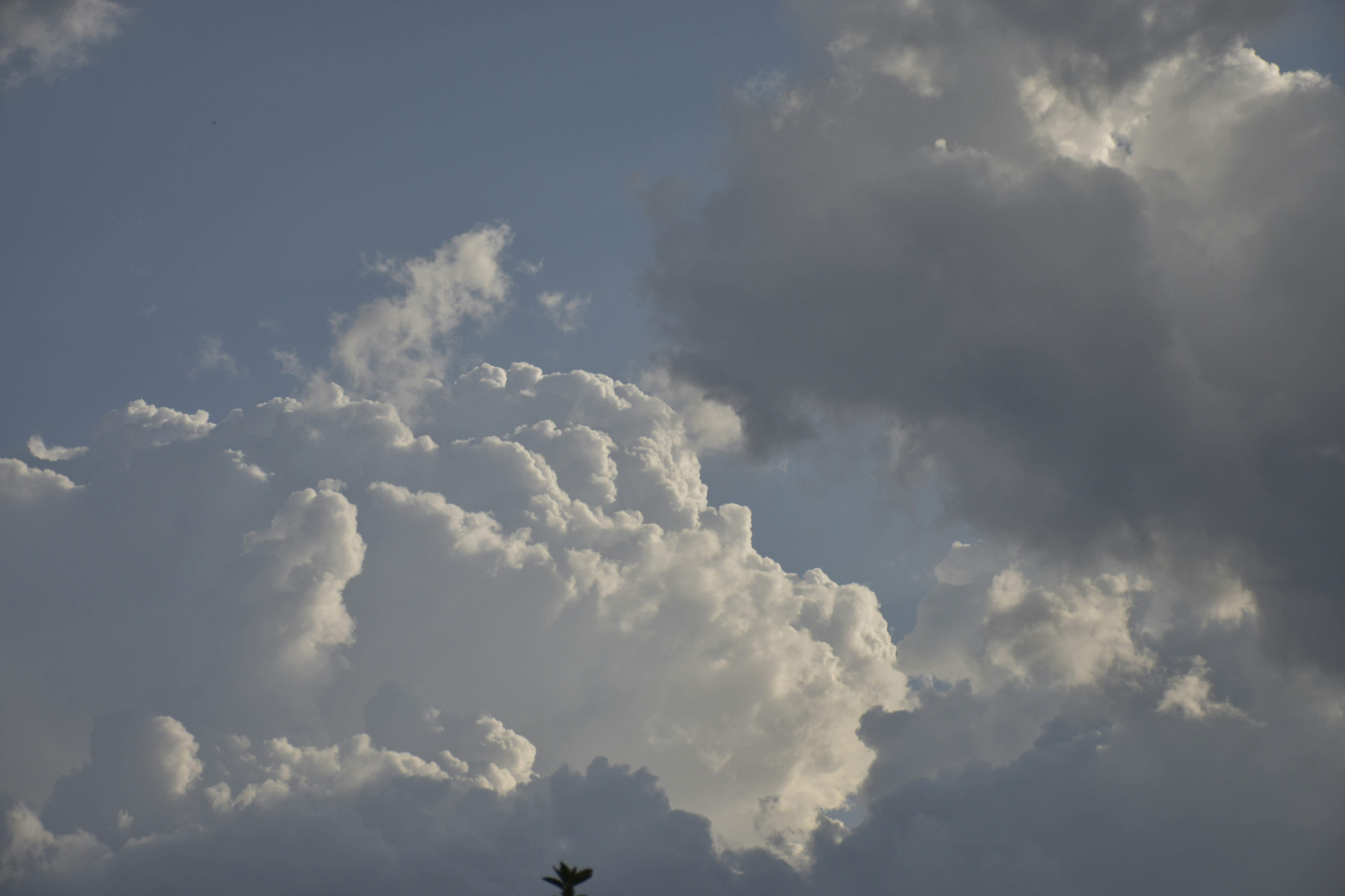 Cloud Cathedral Over a Quiet Horizon