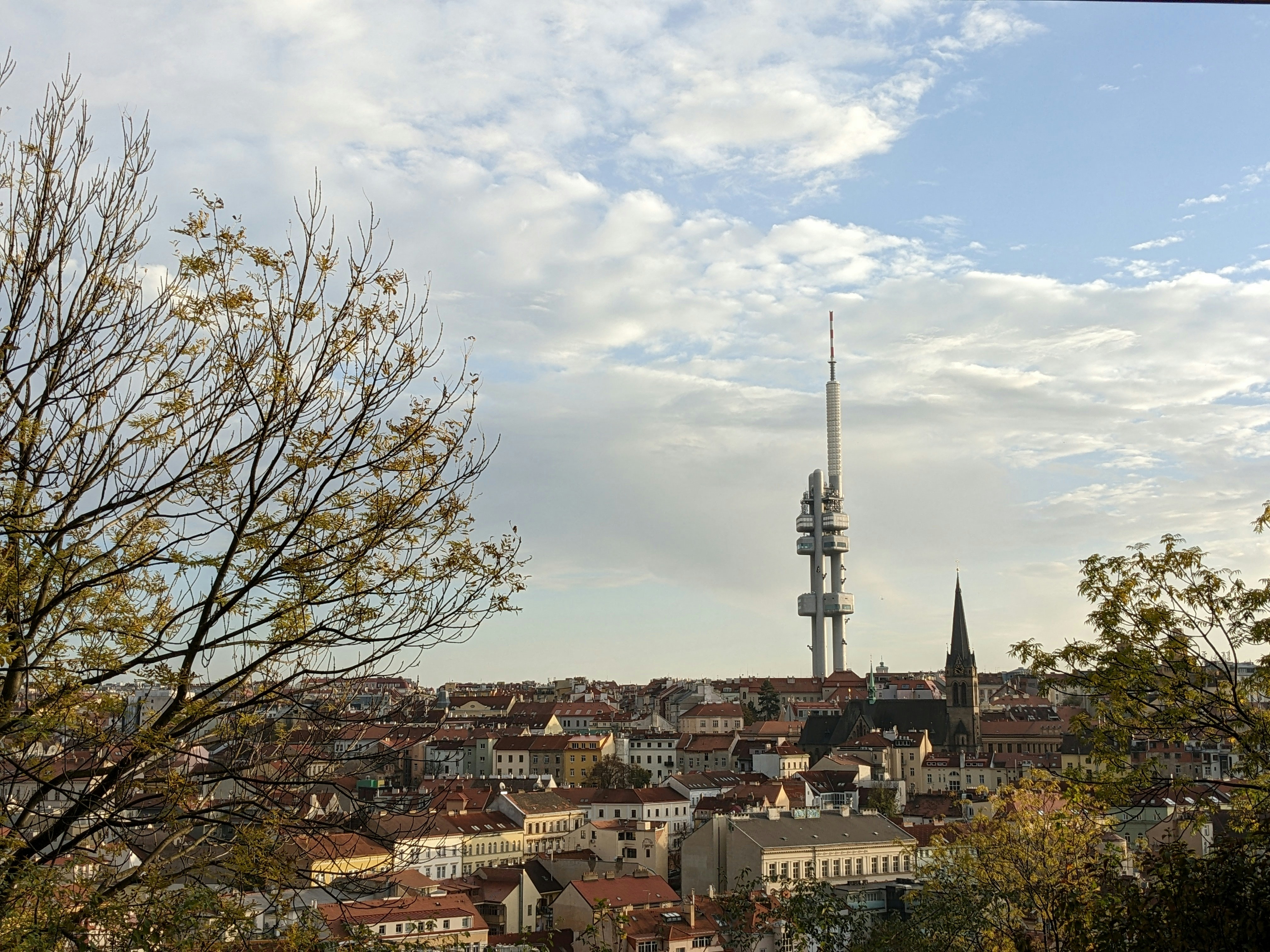 The Sentinel Tower Over a Sea of Terracotta Rooftops