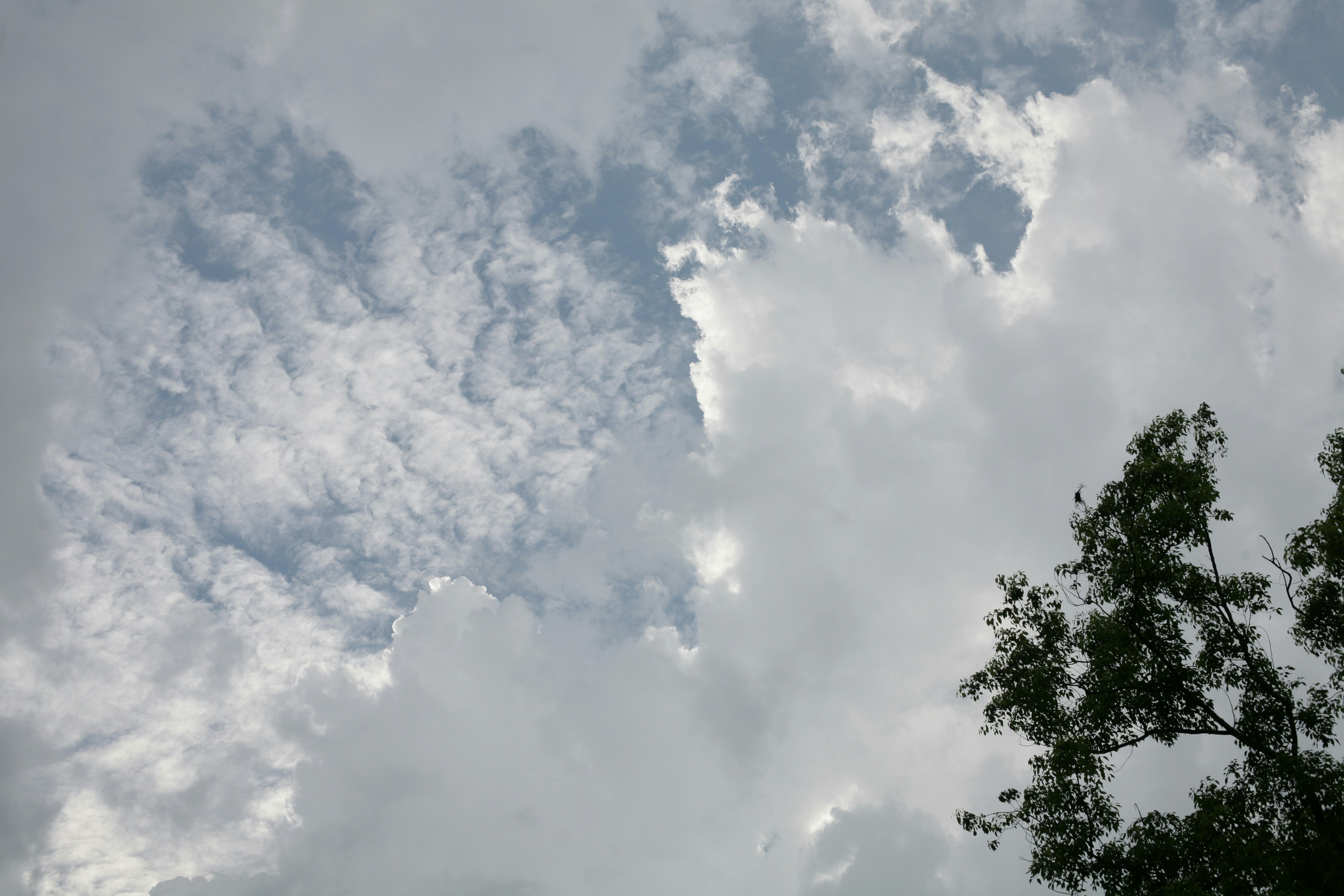 Photo by MChe Lee with CANON EOS 5D