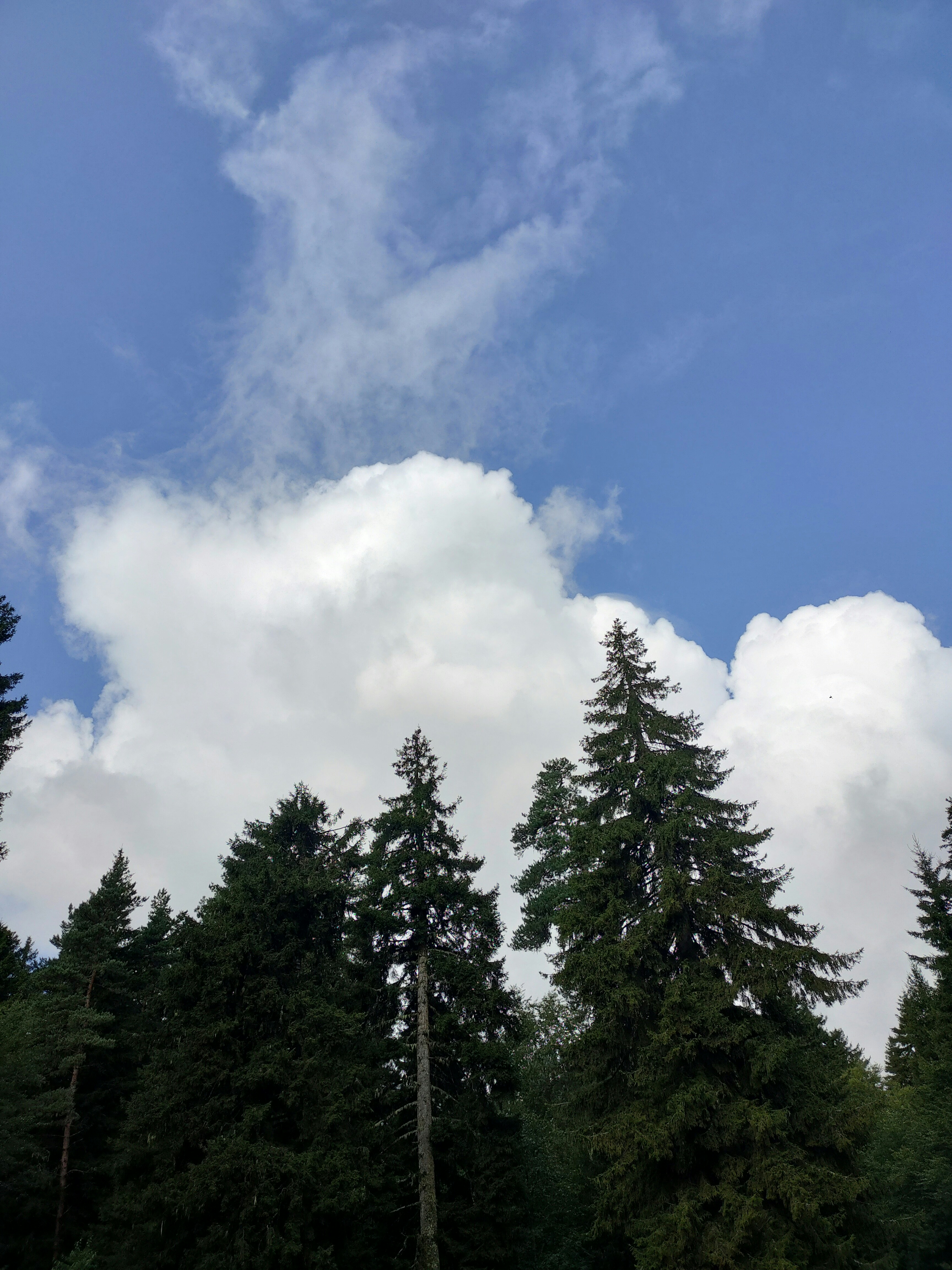 Photo by Azizbek Sayidov with Realme X50