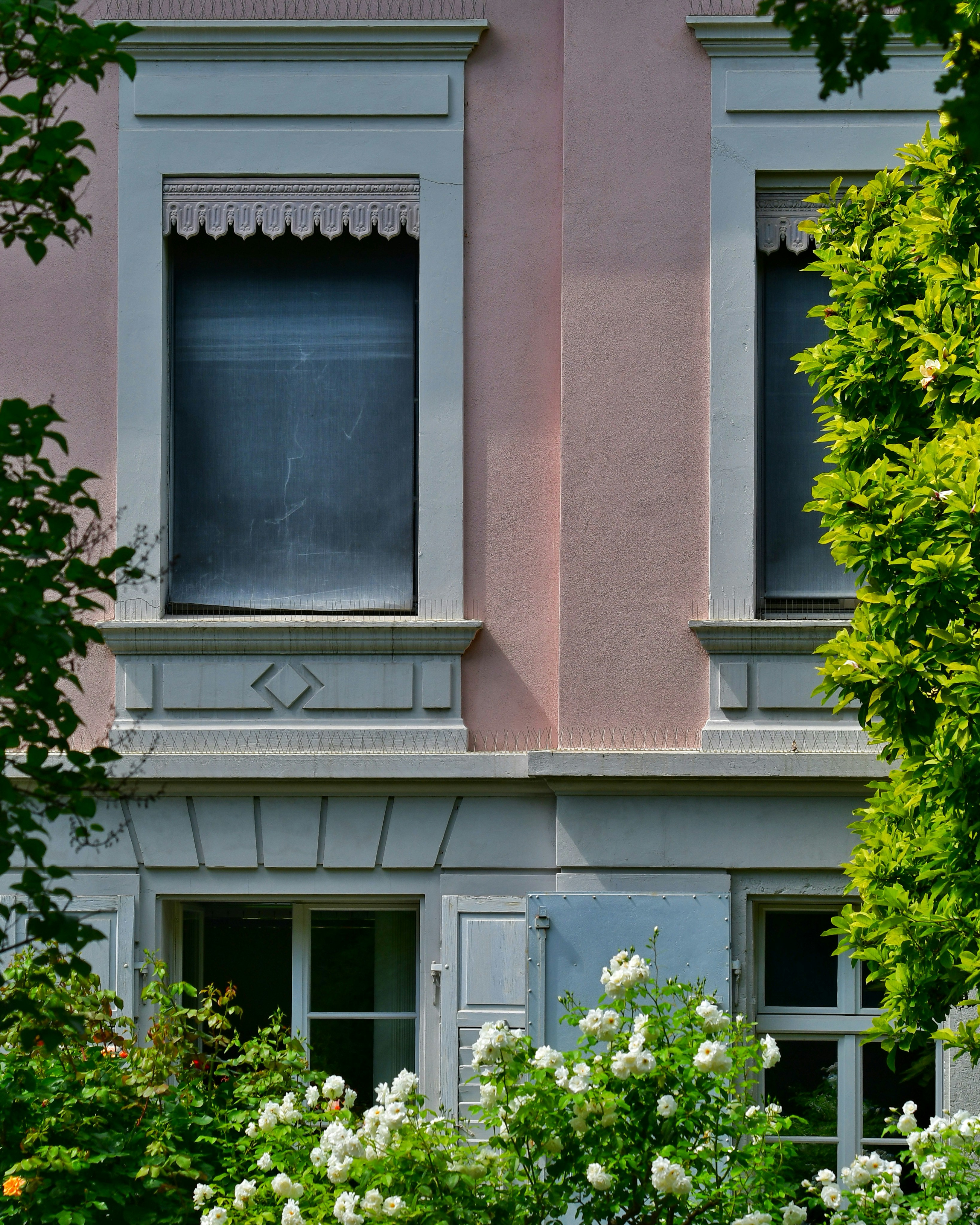 Central Pink Facade Framed by Ivy and White Blooms