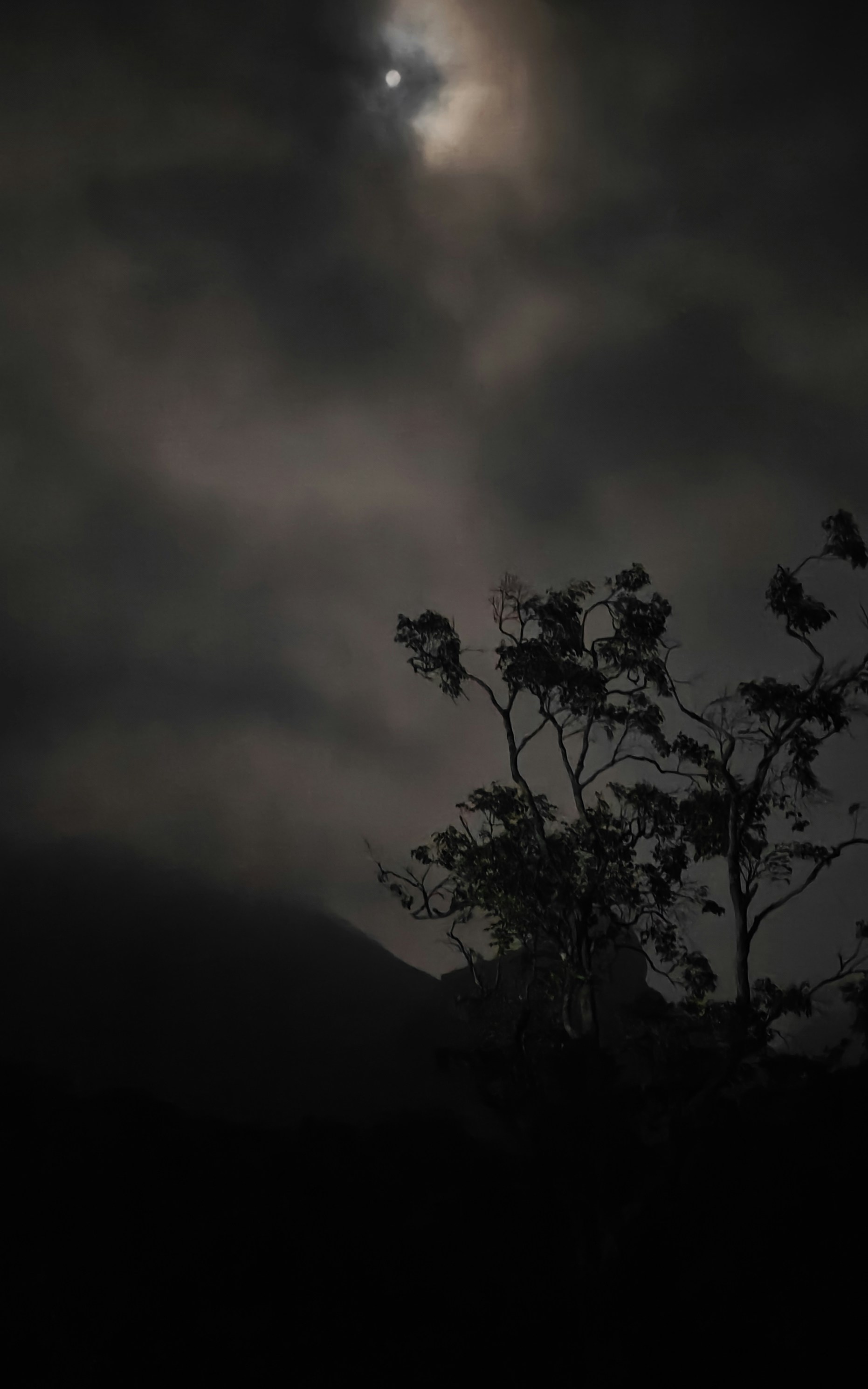 Sample photo from OnePlus 12