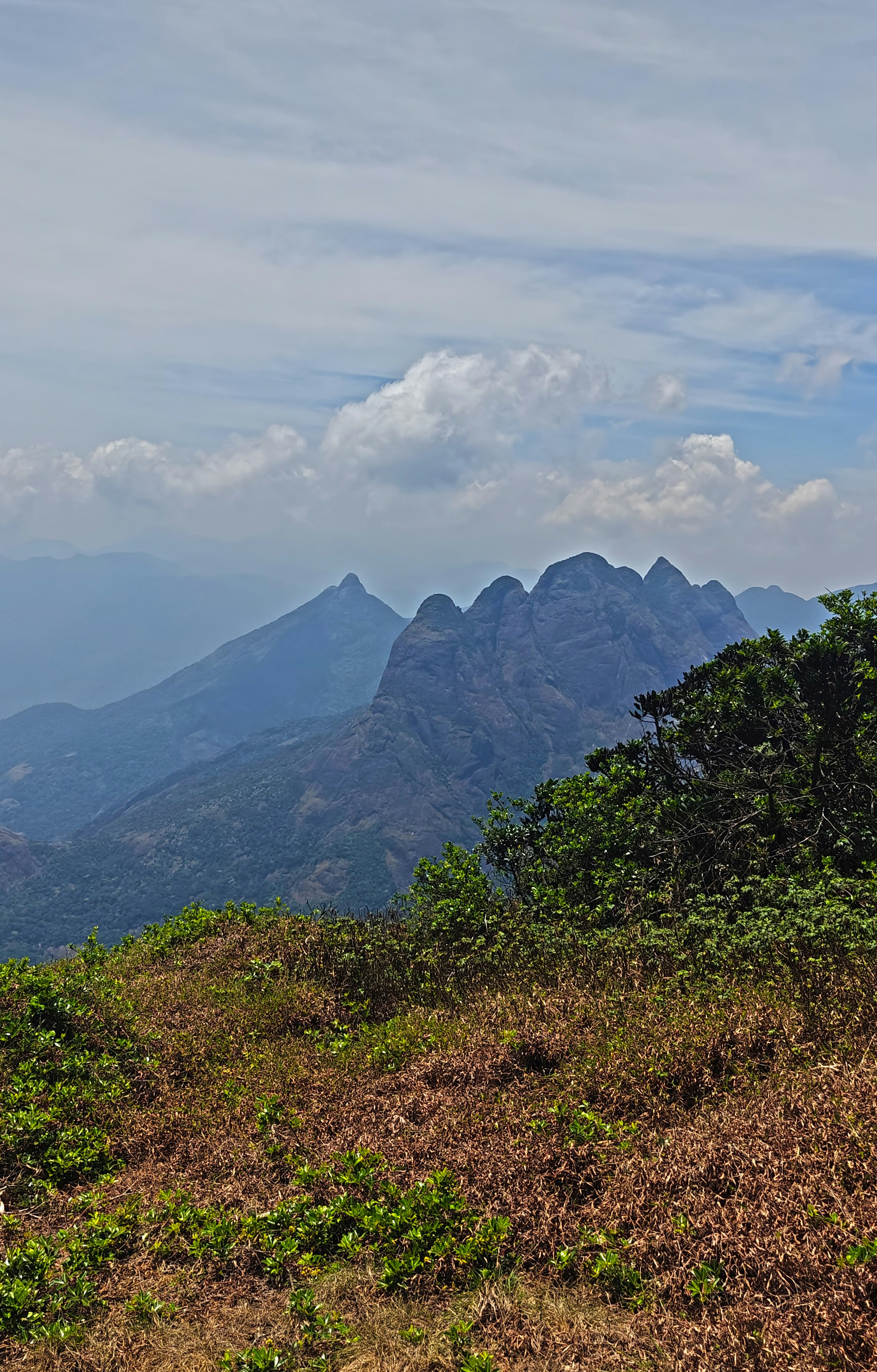 Rugged mountain ridge rises behind a scrubby foreground, bathed in cool blue haze under a soft, cloud-filled sky. Dry grass and green foliage frame the scene, emphasizing depth and distance.