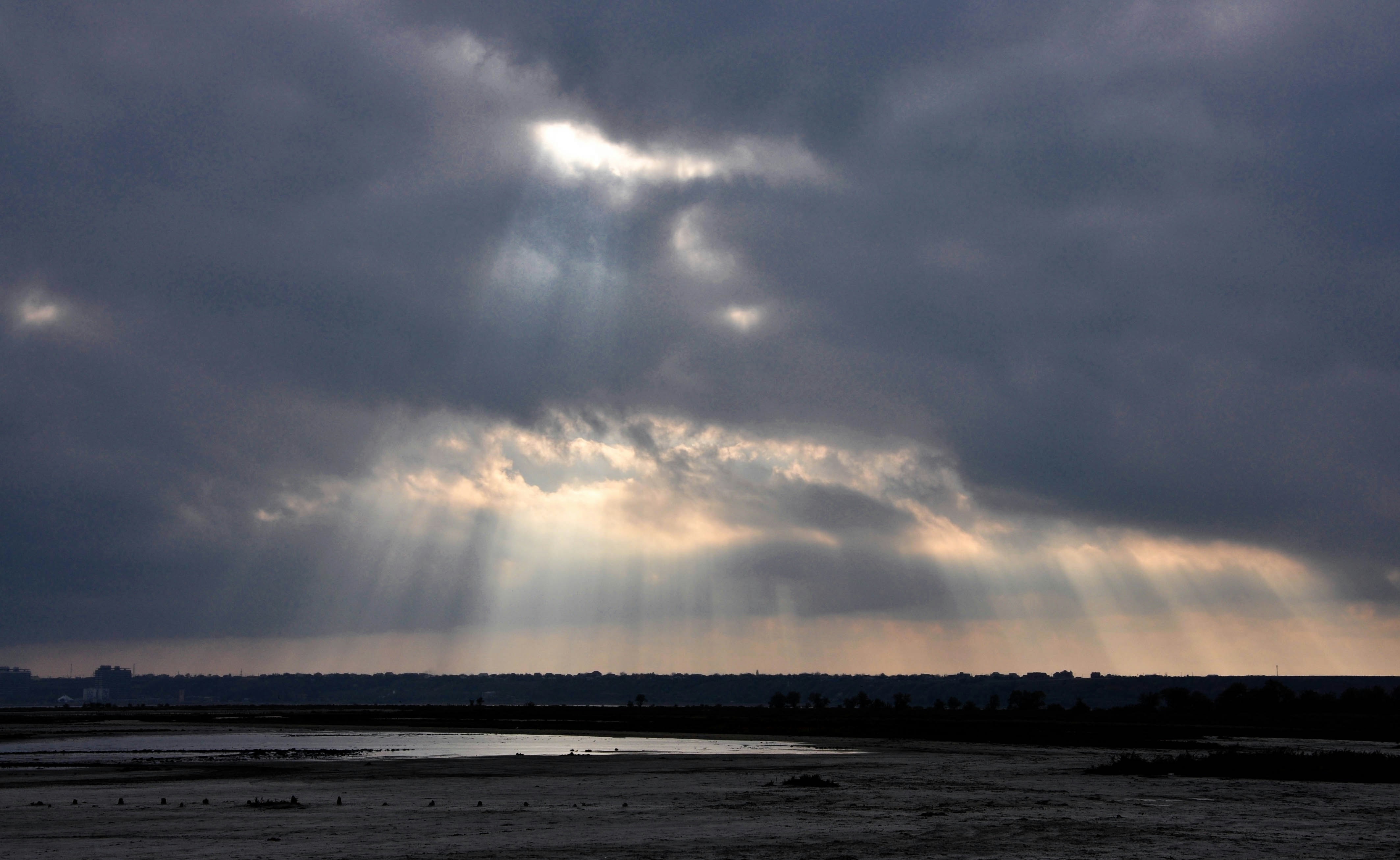 Beacons Through the Clouds: Light Splits Across a Quiet Wetland Horizon