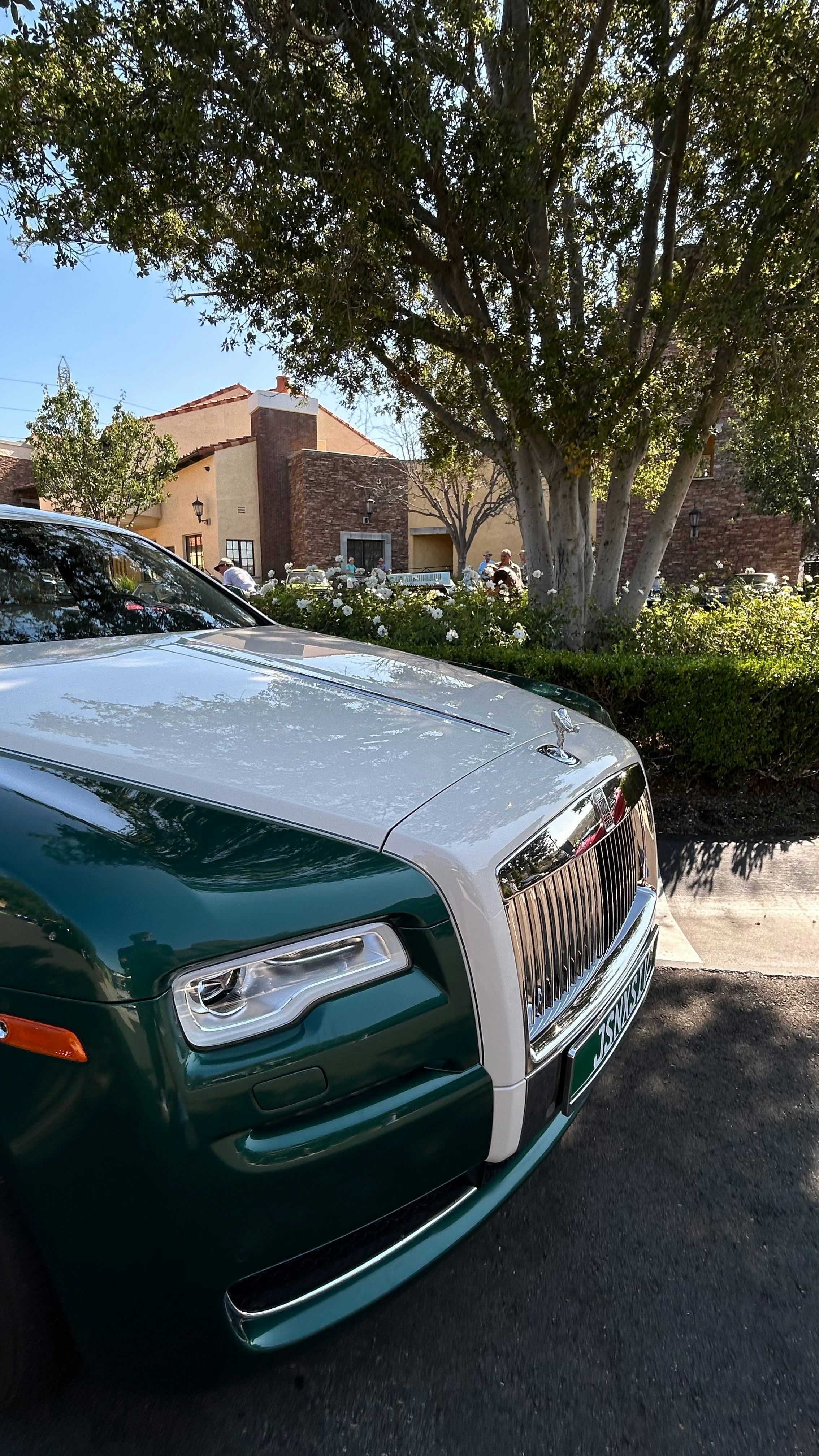 Emerald Grille in Sunlight: A Rolls-Royce Portrait by the Oaks