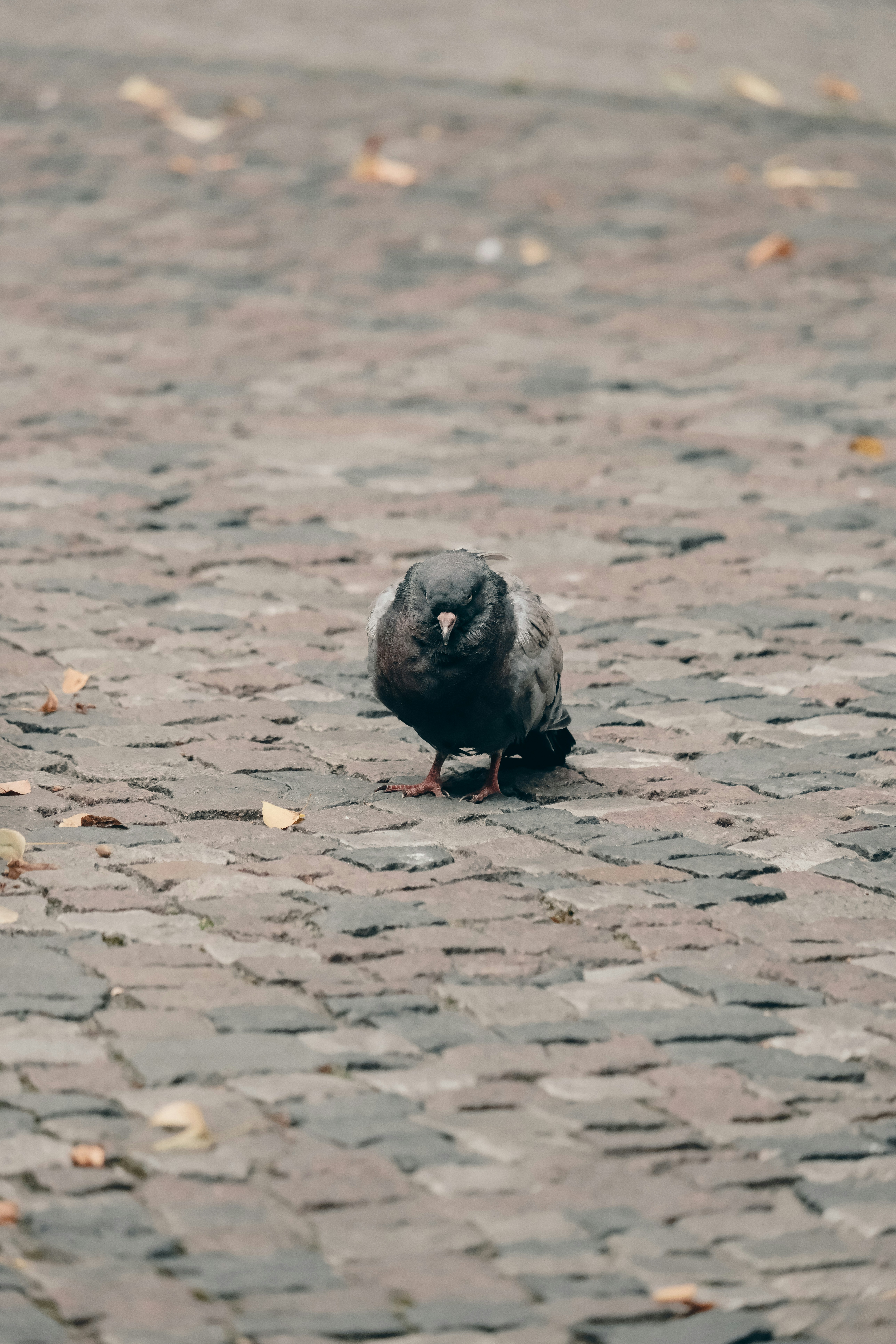 Photo by selcuk sarikoz with Fujifilm X-T5