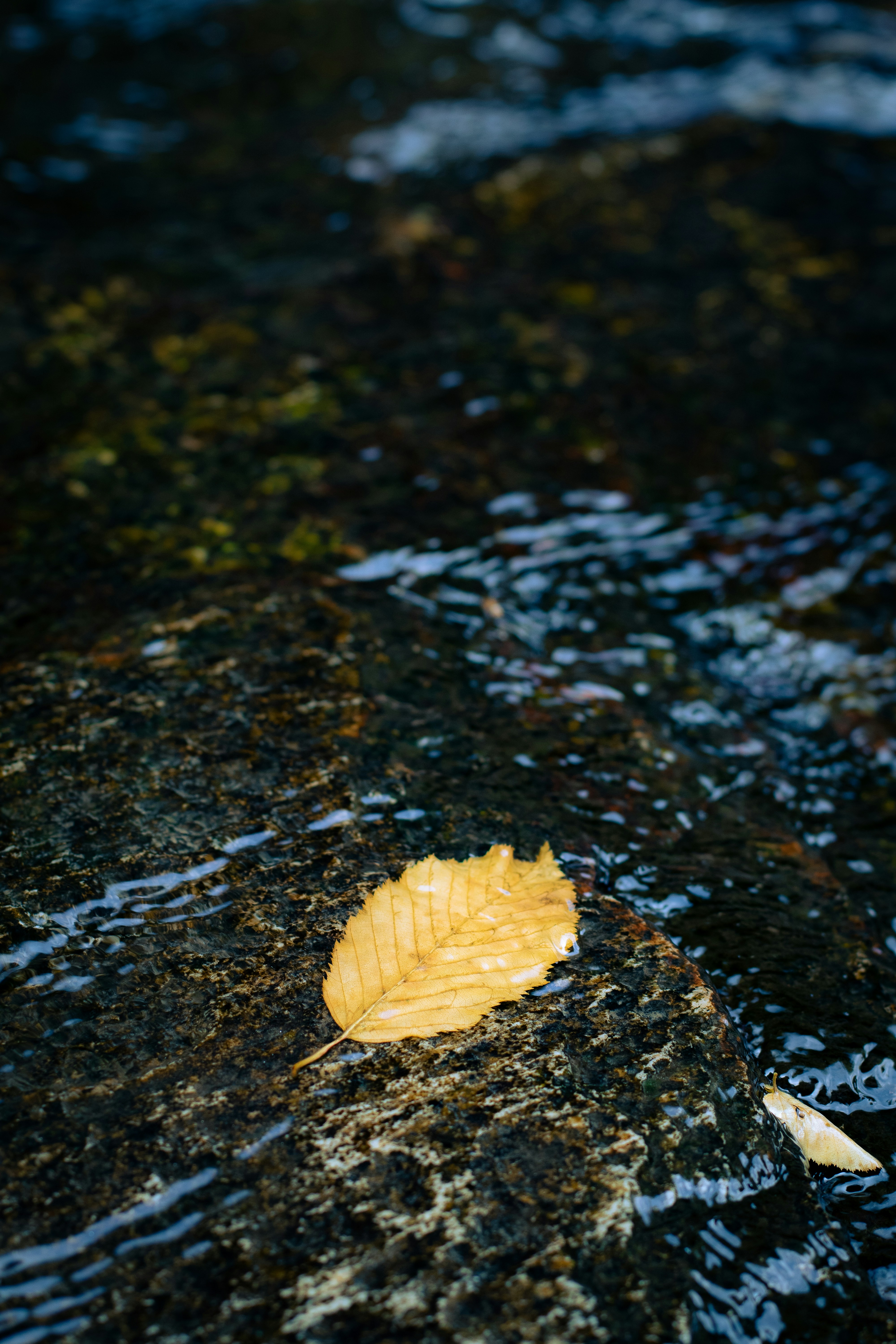 Photo by Emrecan Dora with Canon EOS M50 Mark II