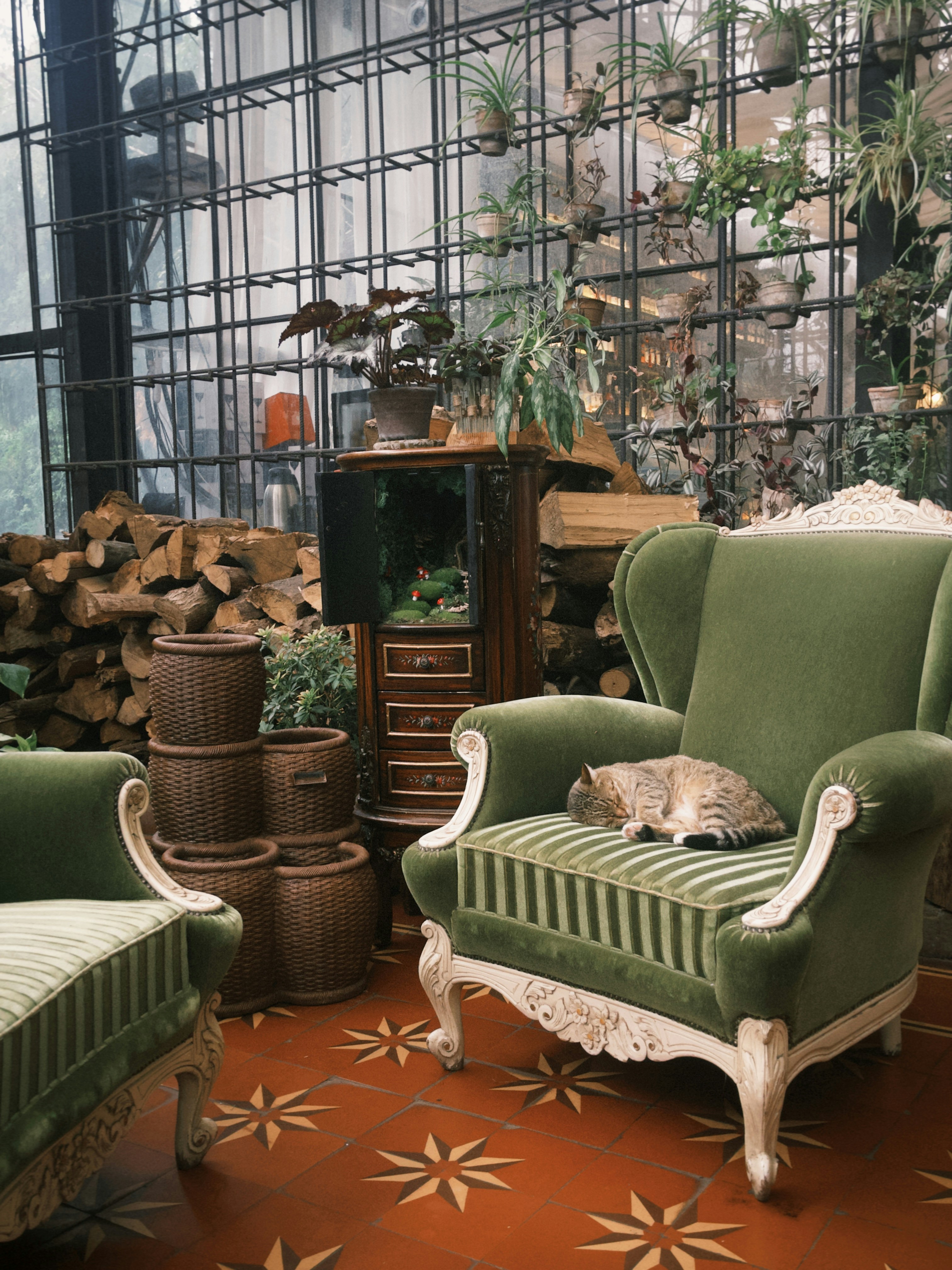 The Velvet Green Lounge: A Sleeping Cat Among Plants