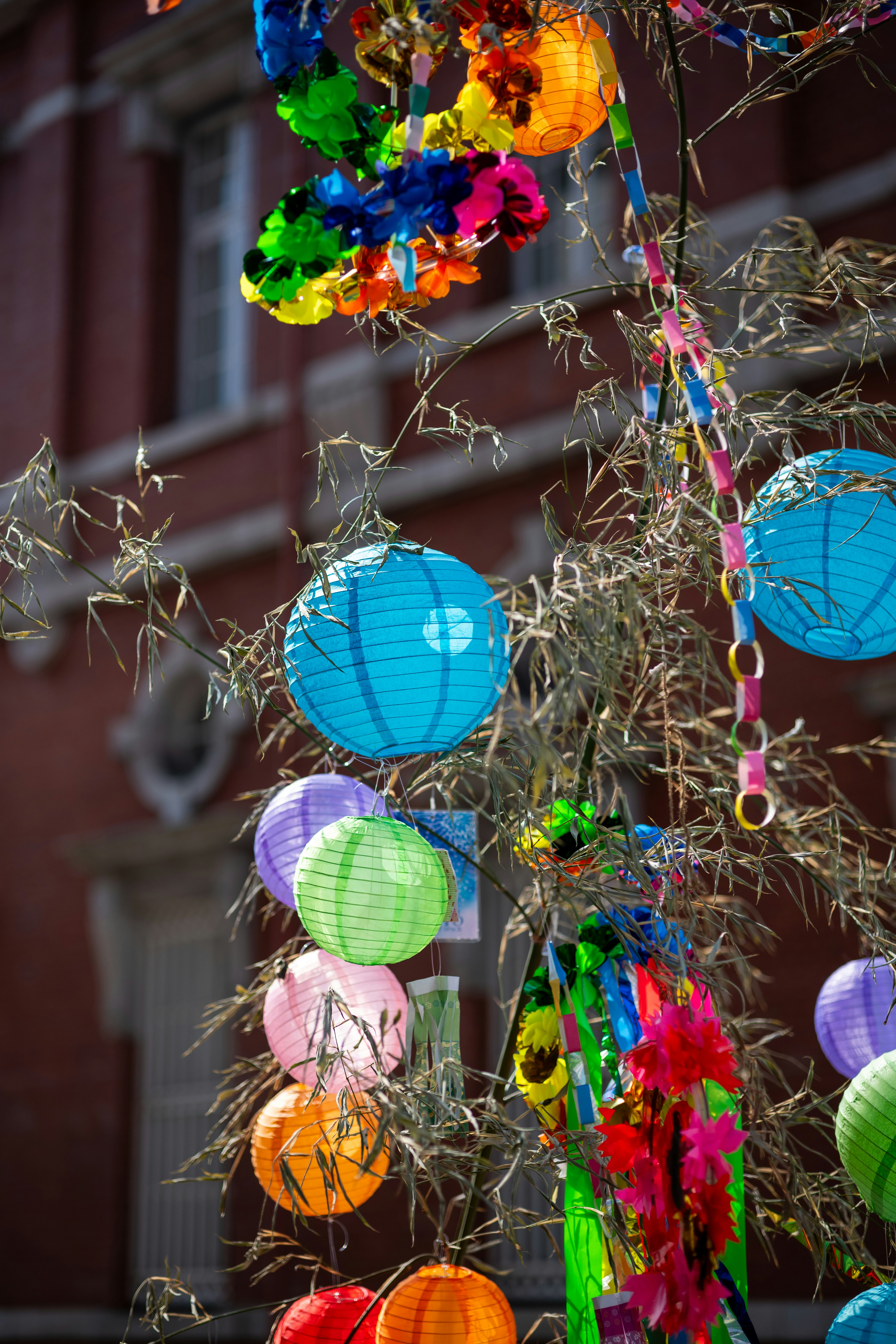 A bunch of colorful paper lanterns hanging from a tree photo – Free ...