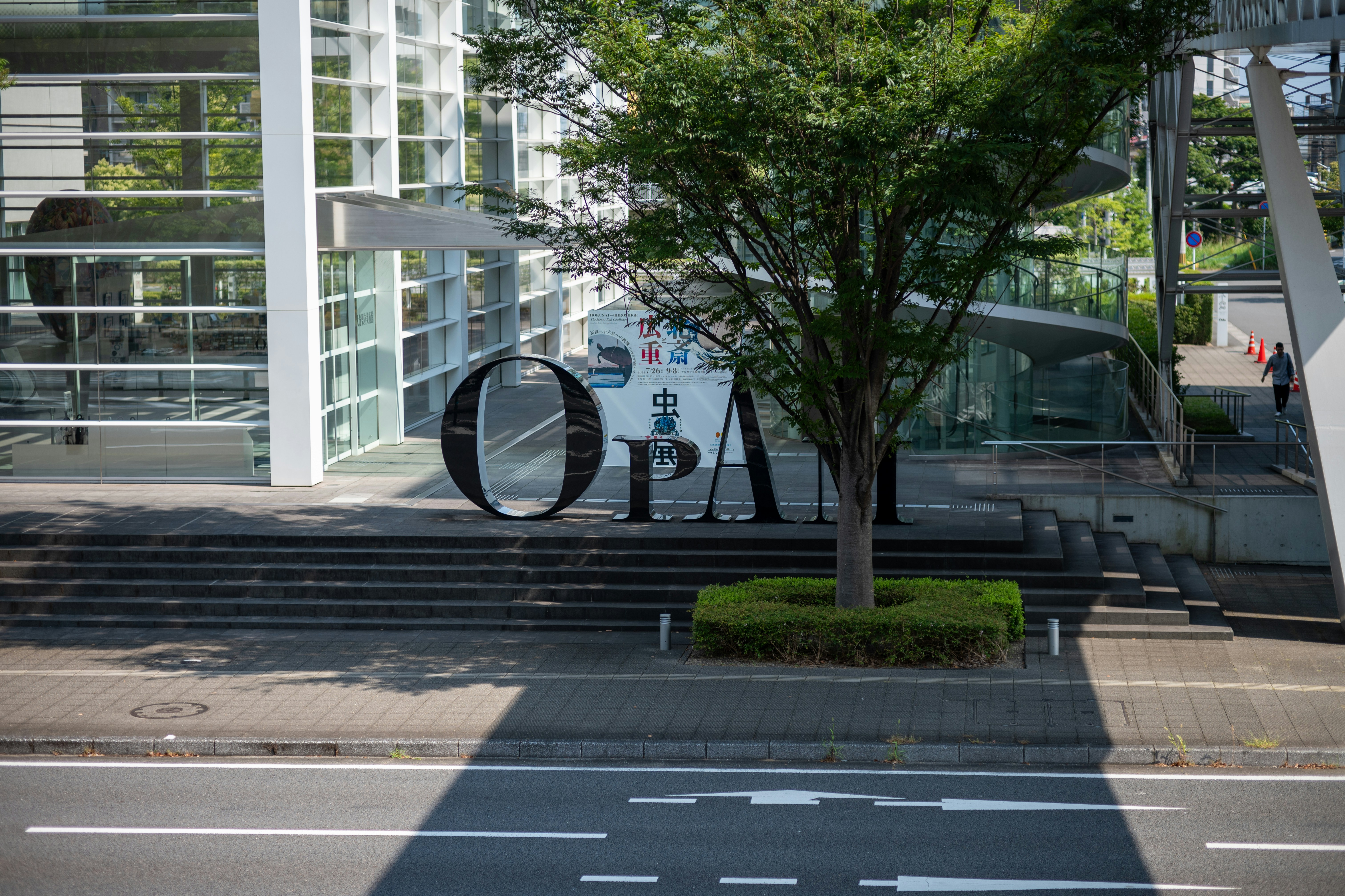 Urban Gallery Echo: A Tree Framed by Glass and Shadow