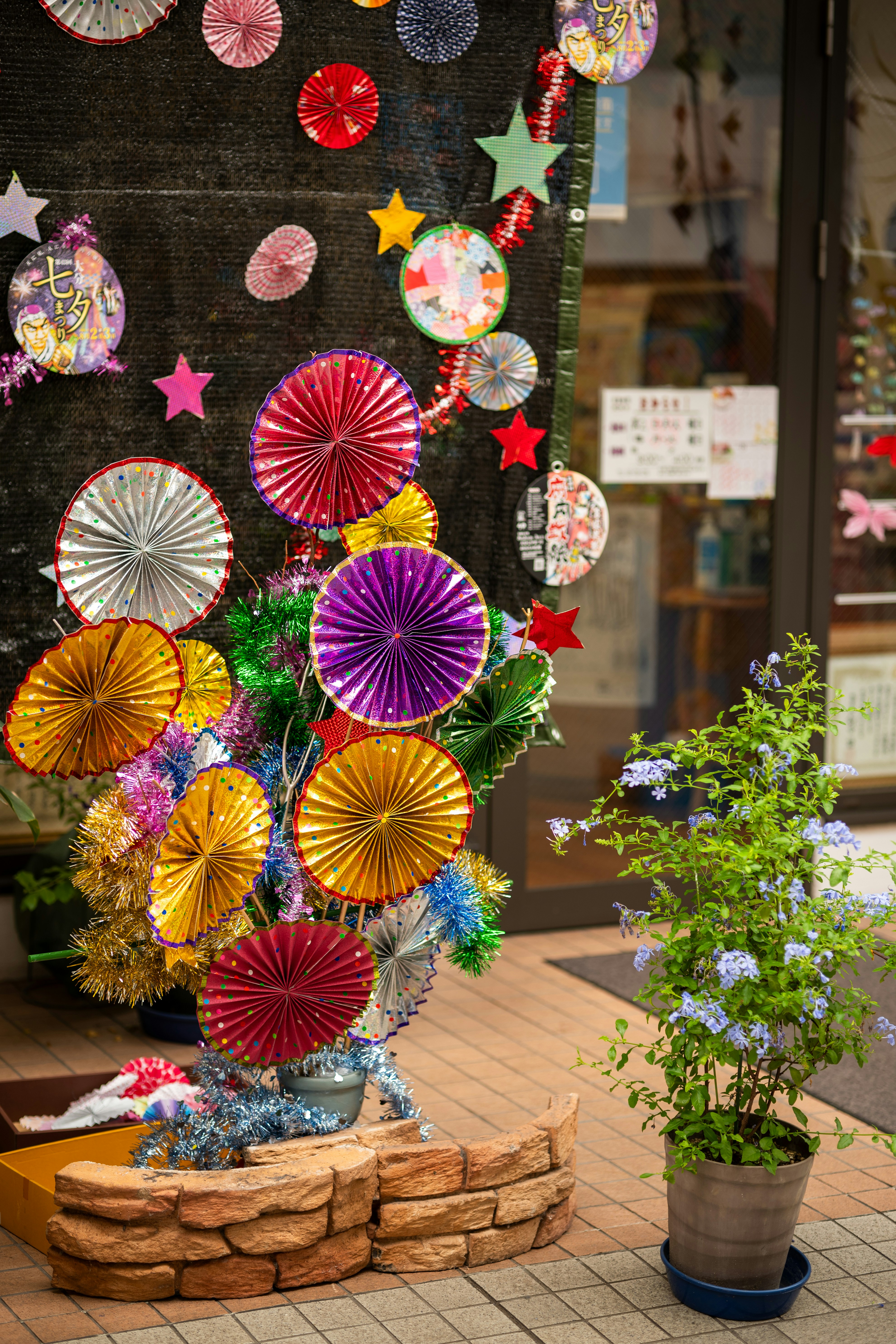 A display of colorful paper fans in a store window photo – Free Flower ...