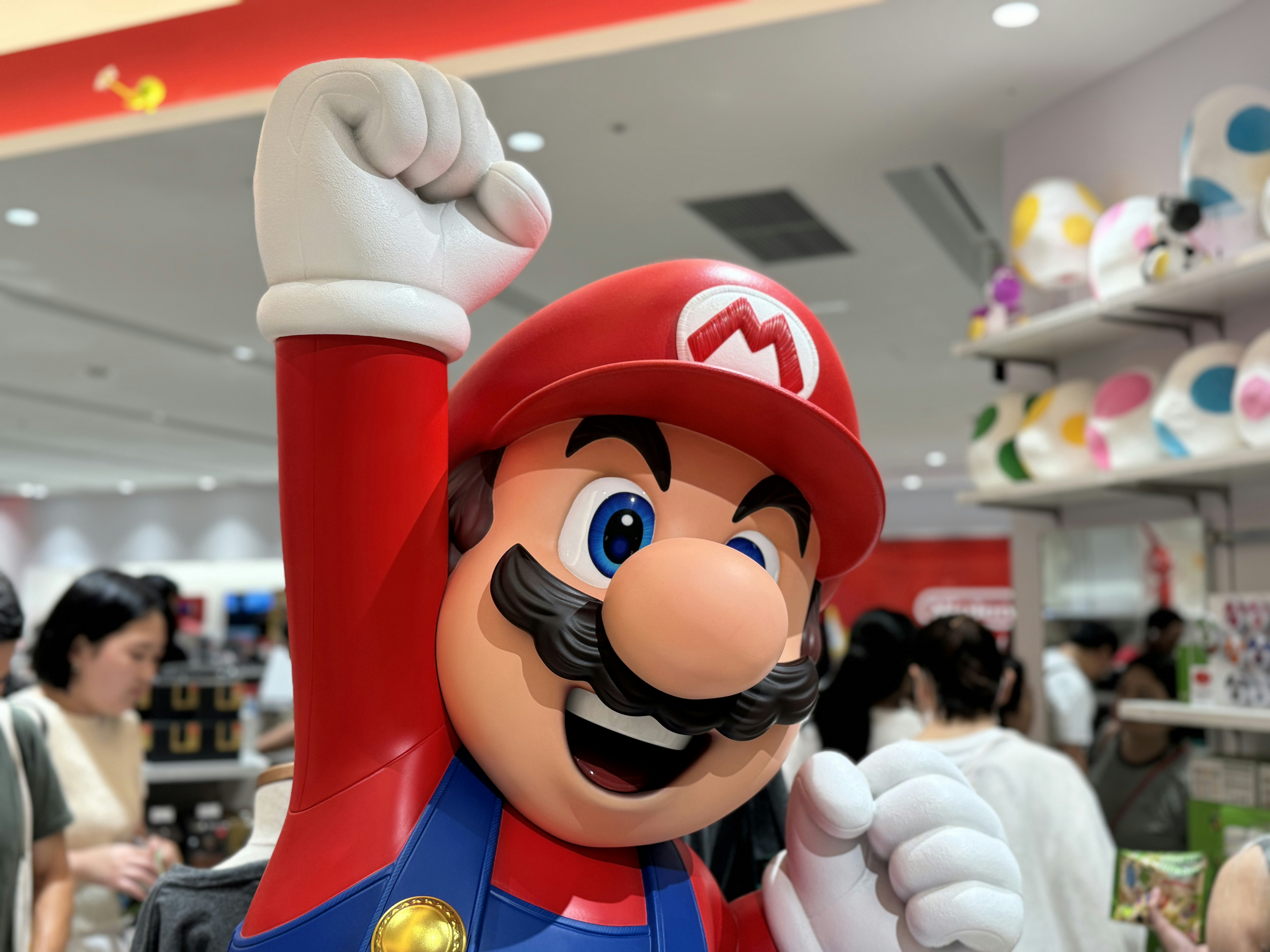 Suzi Kim (@kimsuzi08) | Comunidad de fotos de Unsplash