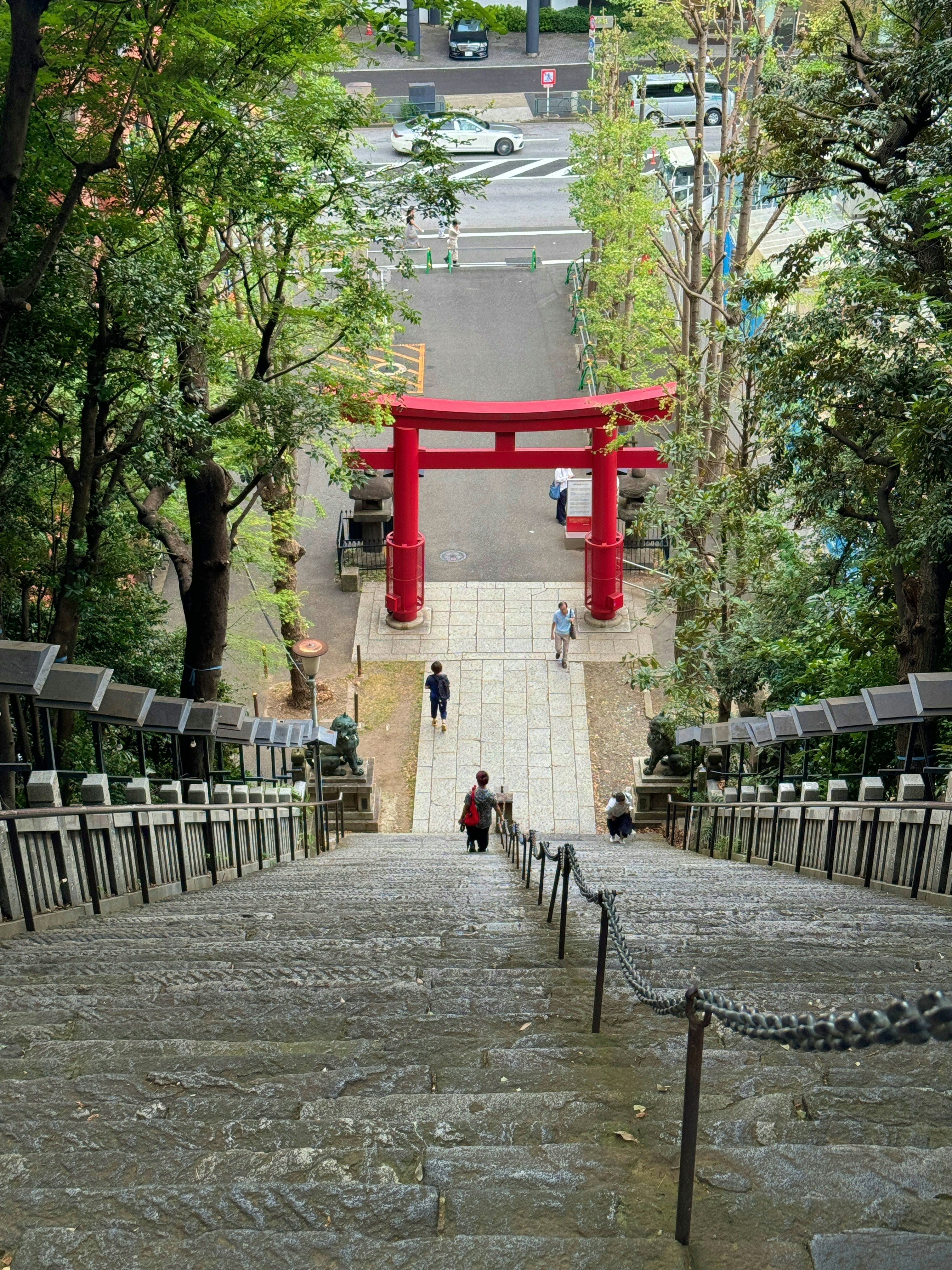 Crimson Torii at the Foot of the Sacred Stair: A Shrine Amid Green Canopy
