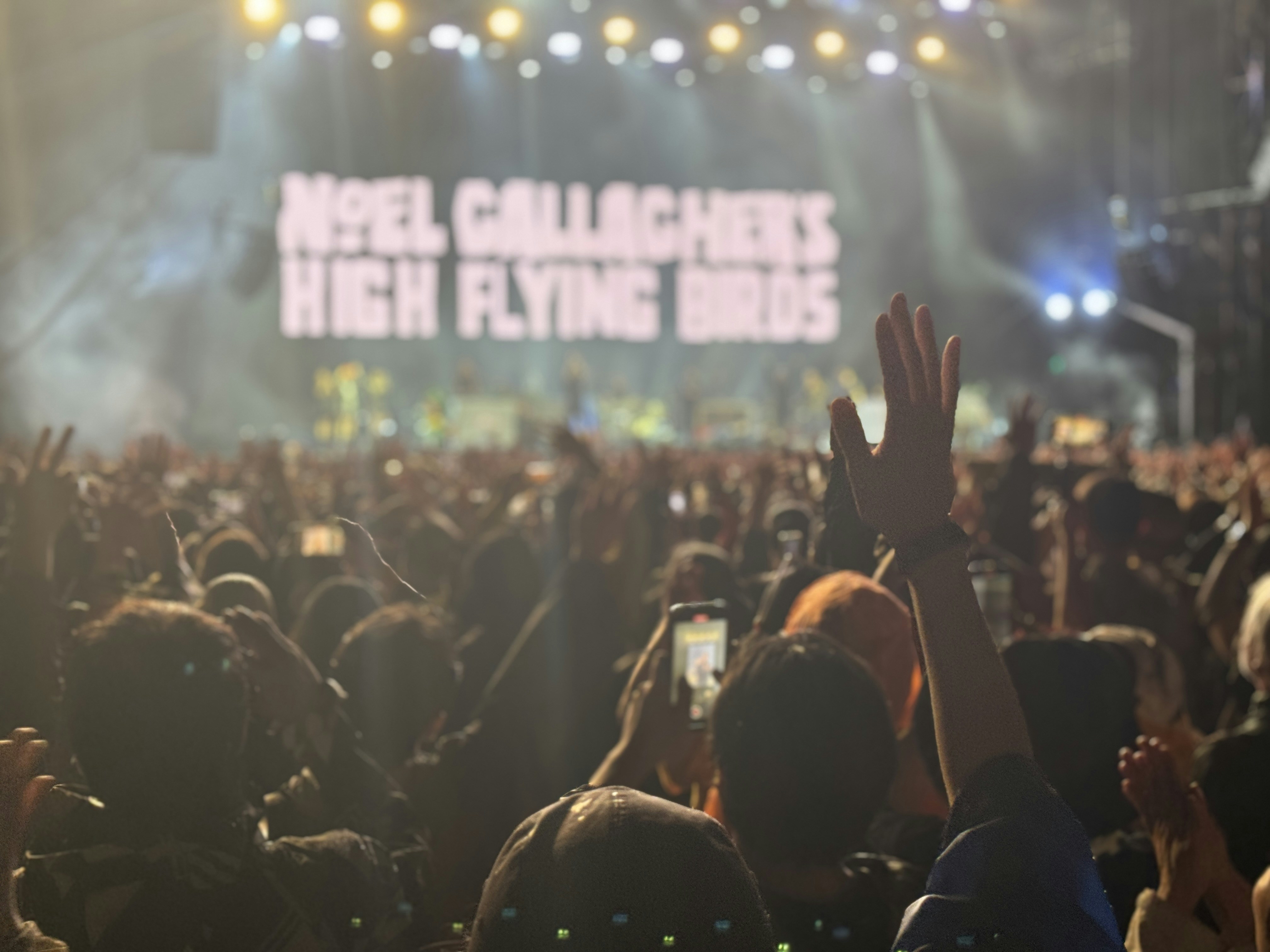 Suzi Kim (@kimsuzi08) | Comunidad de fotos de Unsplash