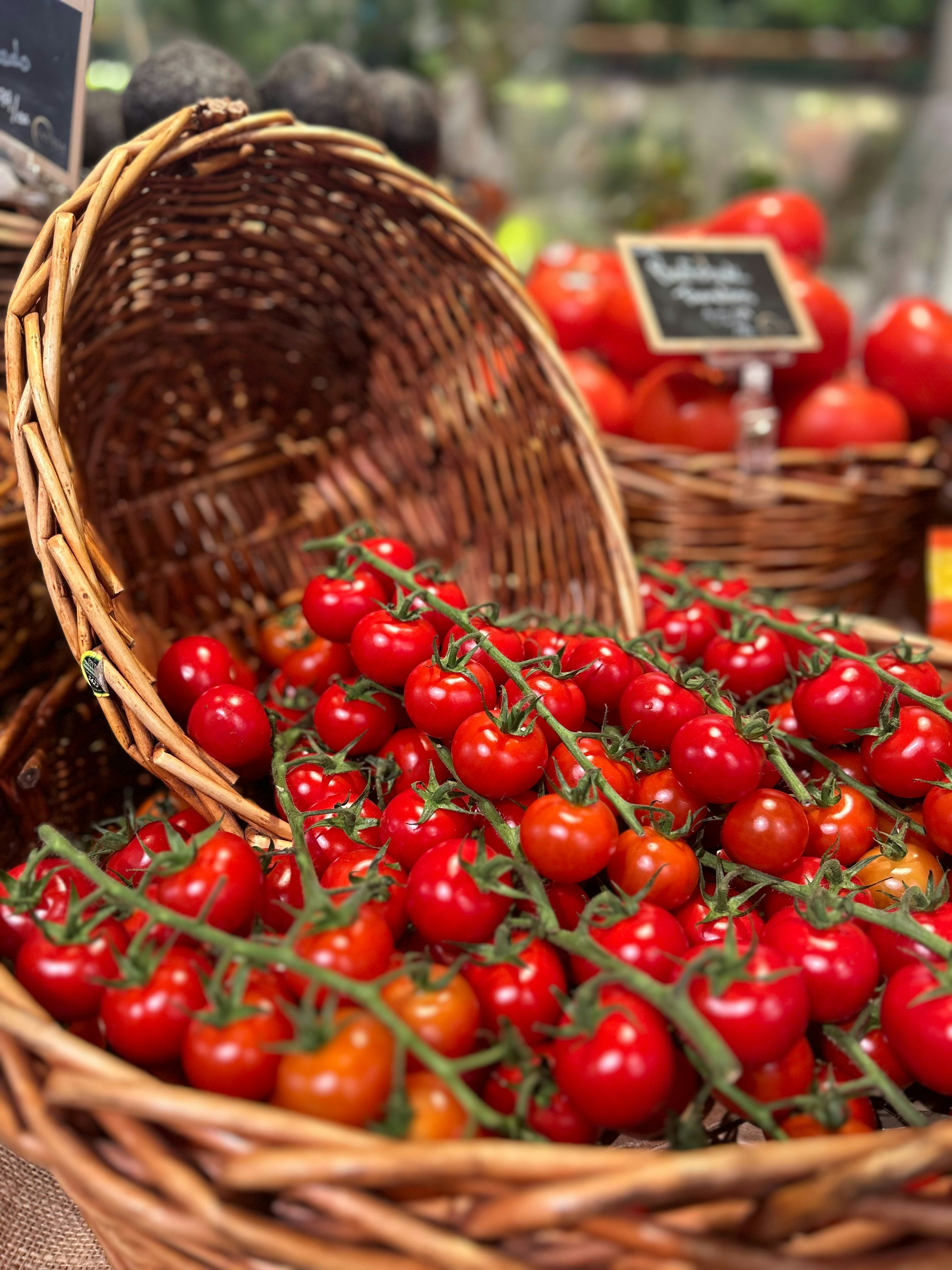 Una cesta llena de muchos tomates encima de una mesa foto – Imagen de ...