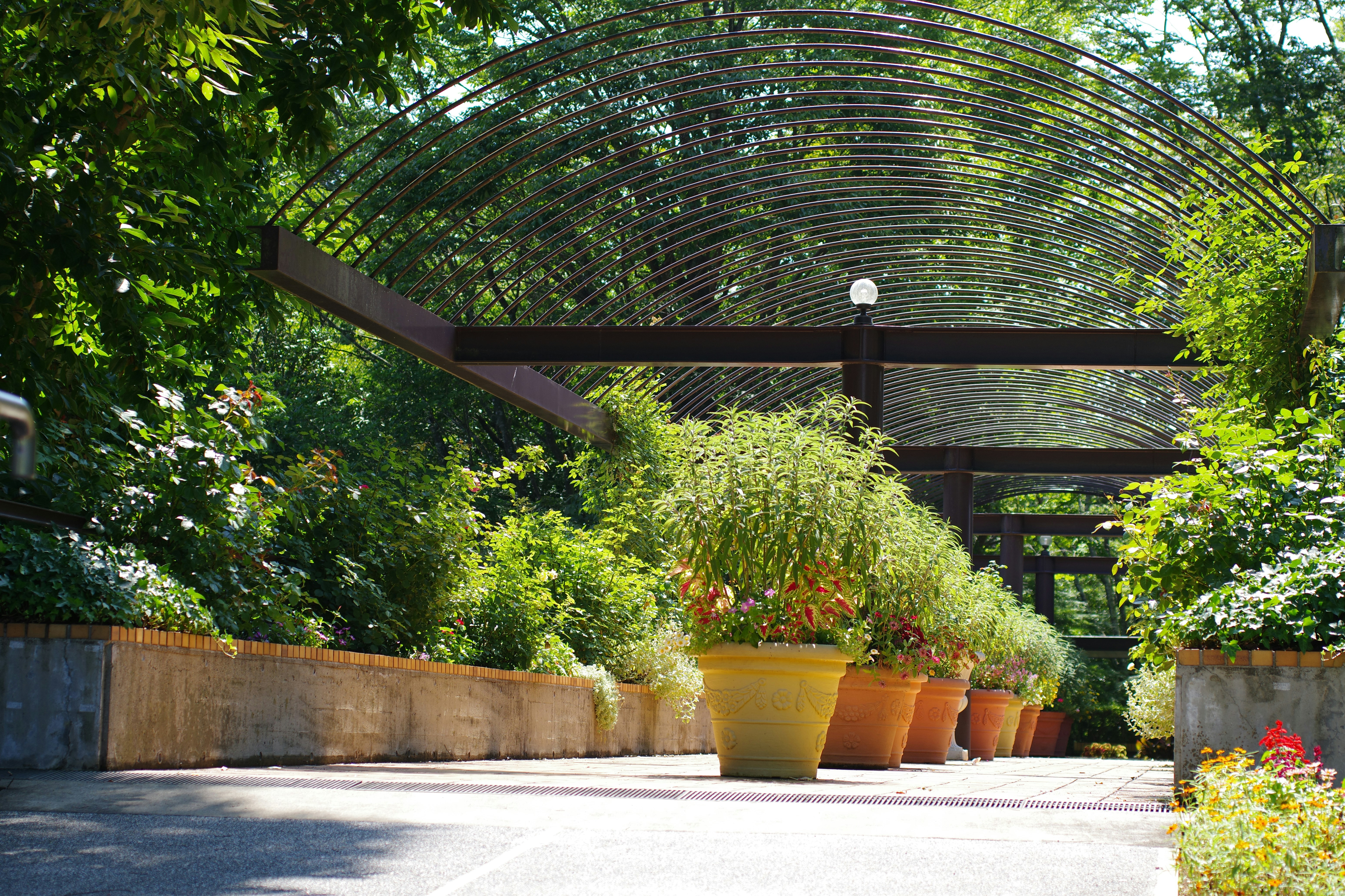 Beautiful green and flower garden、新緑と美しい花が織りなす絶景 A superb view of fresh greenery and beautiful flowers