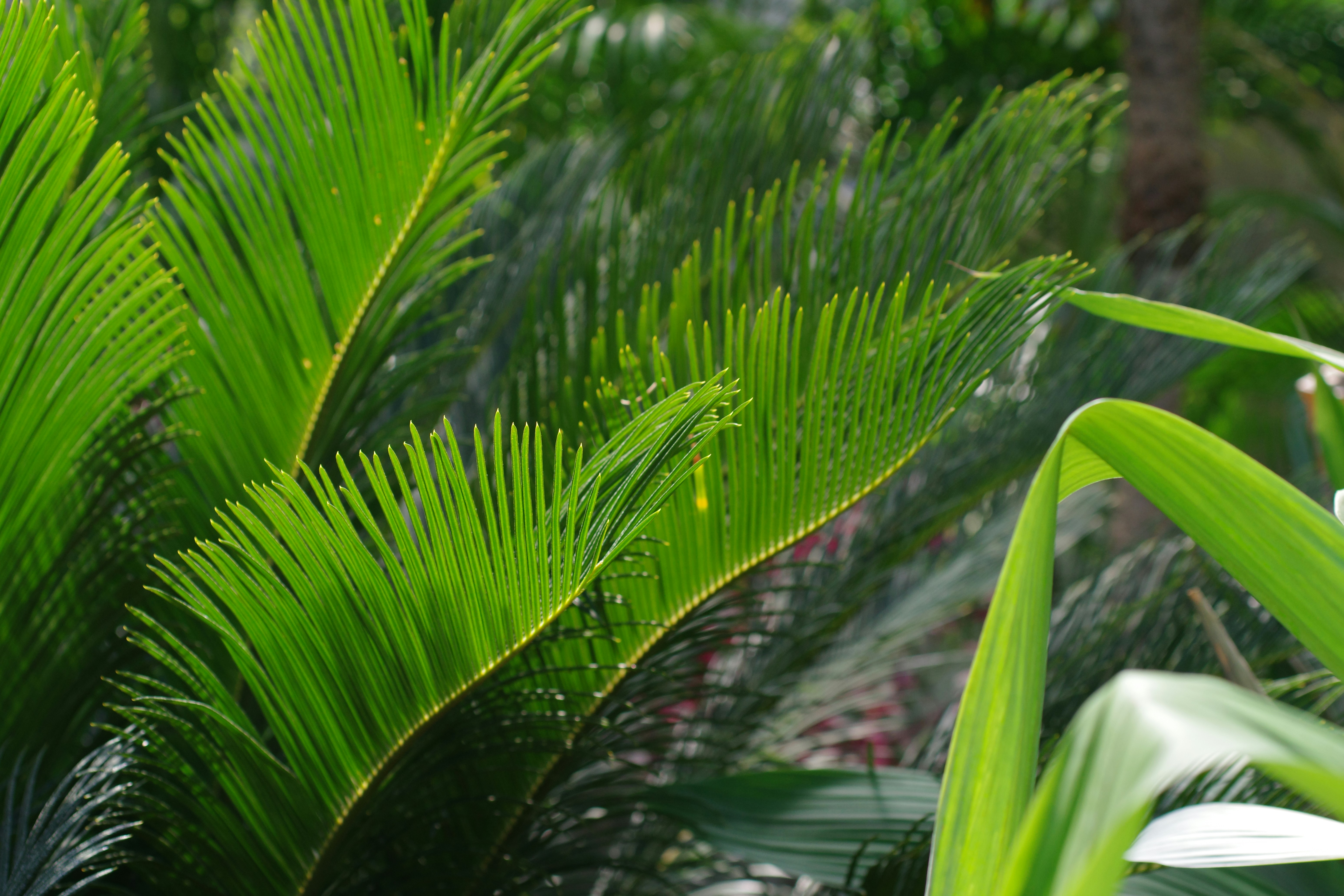 Sample photo from Pentax K-3 III