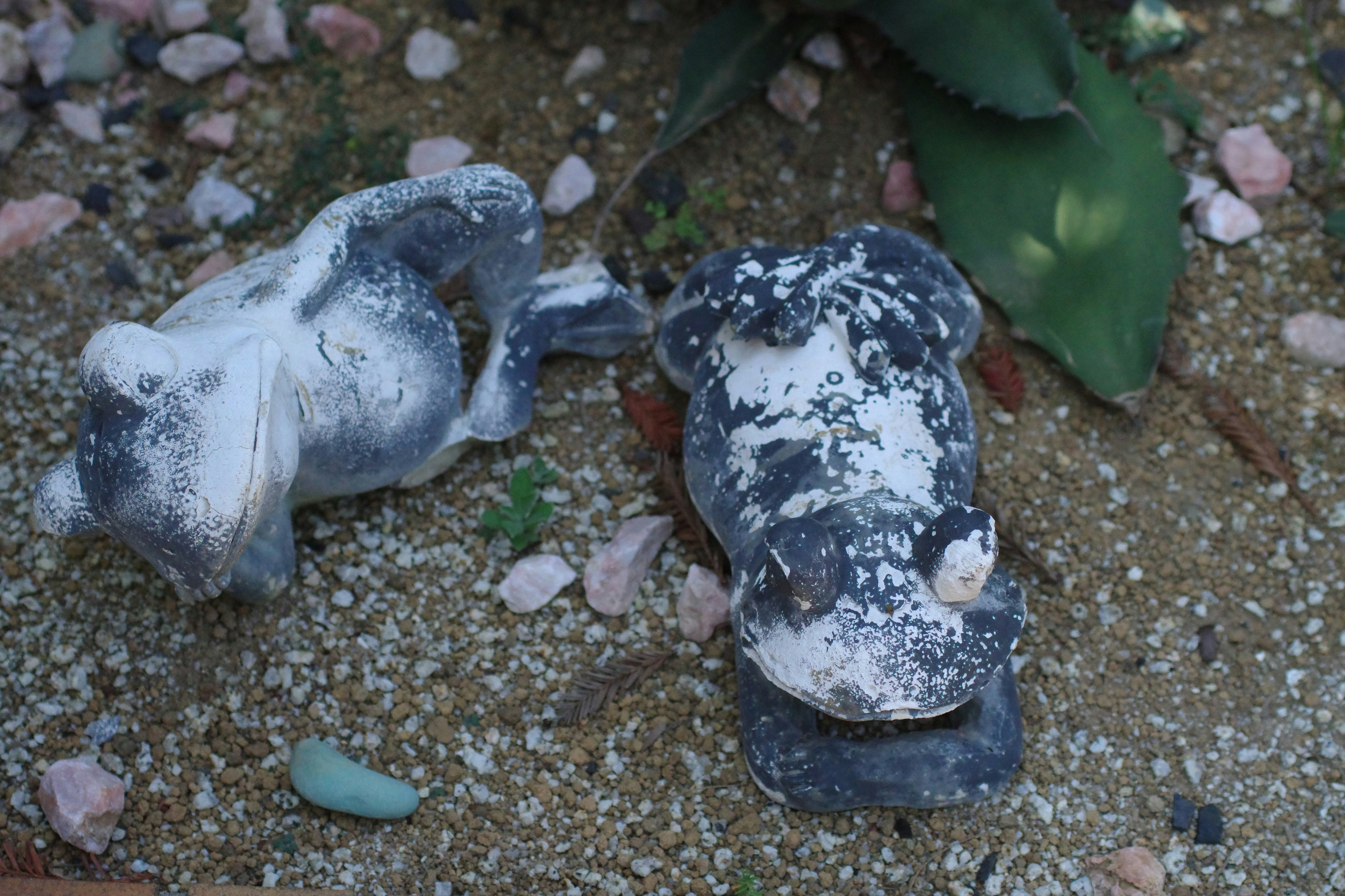Weathered ceramic dog statues on a gravel canvas