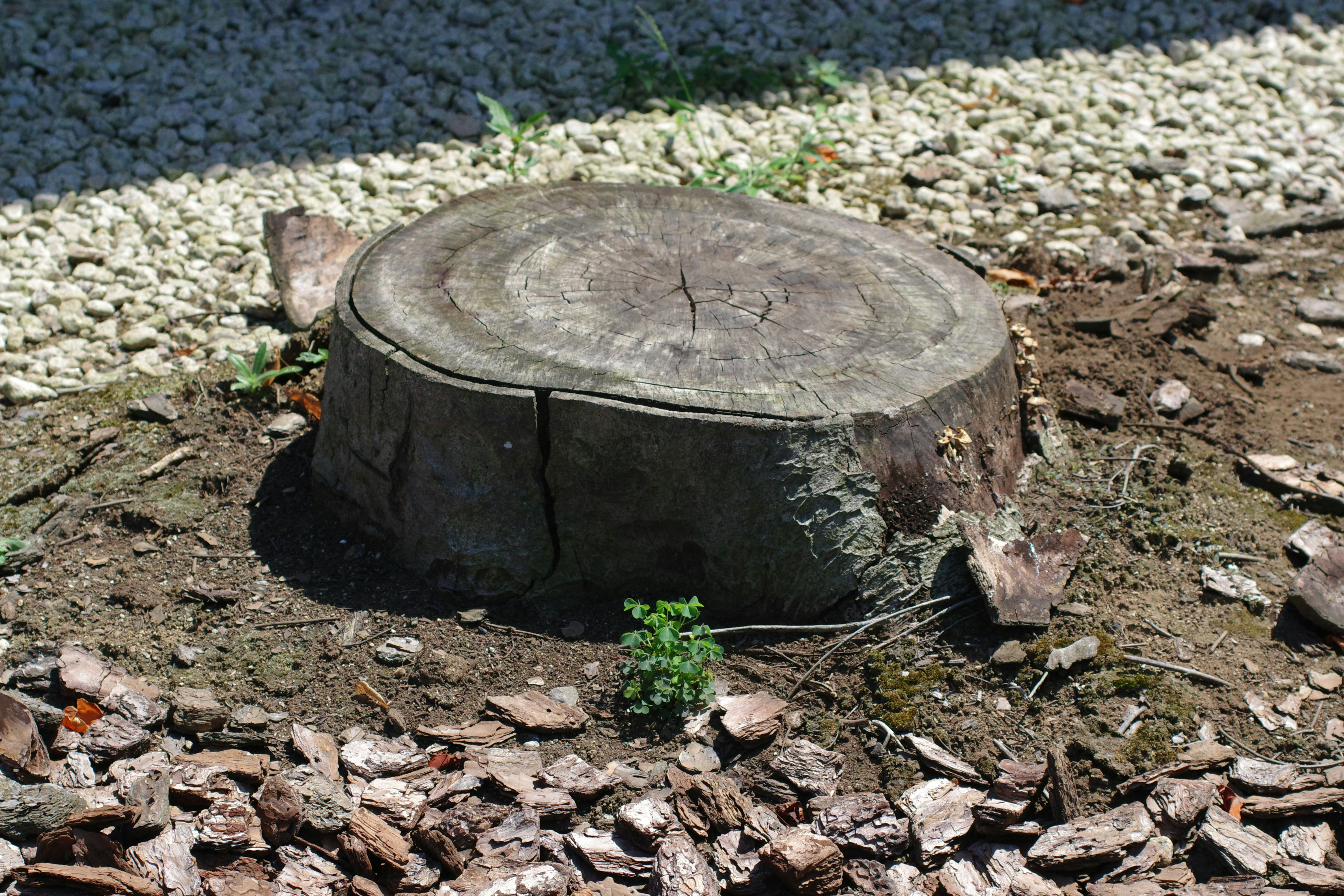 Beautiful green and flower garden、新緑と美しい花が織りなす絶景 A superb view of fresh greenery and beautiful flowers