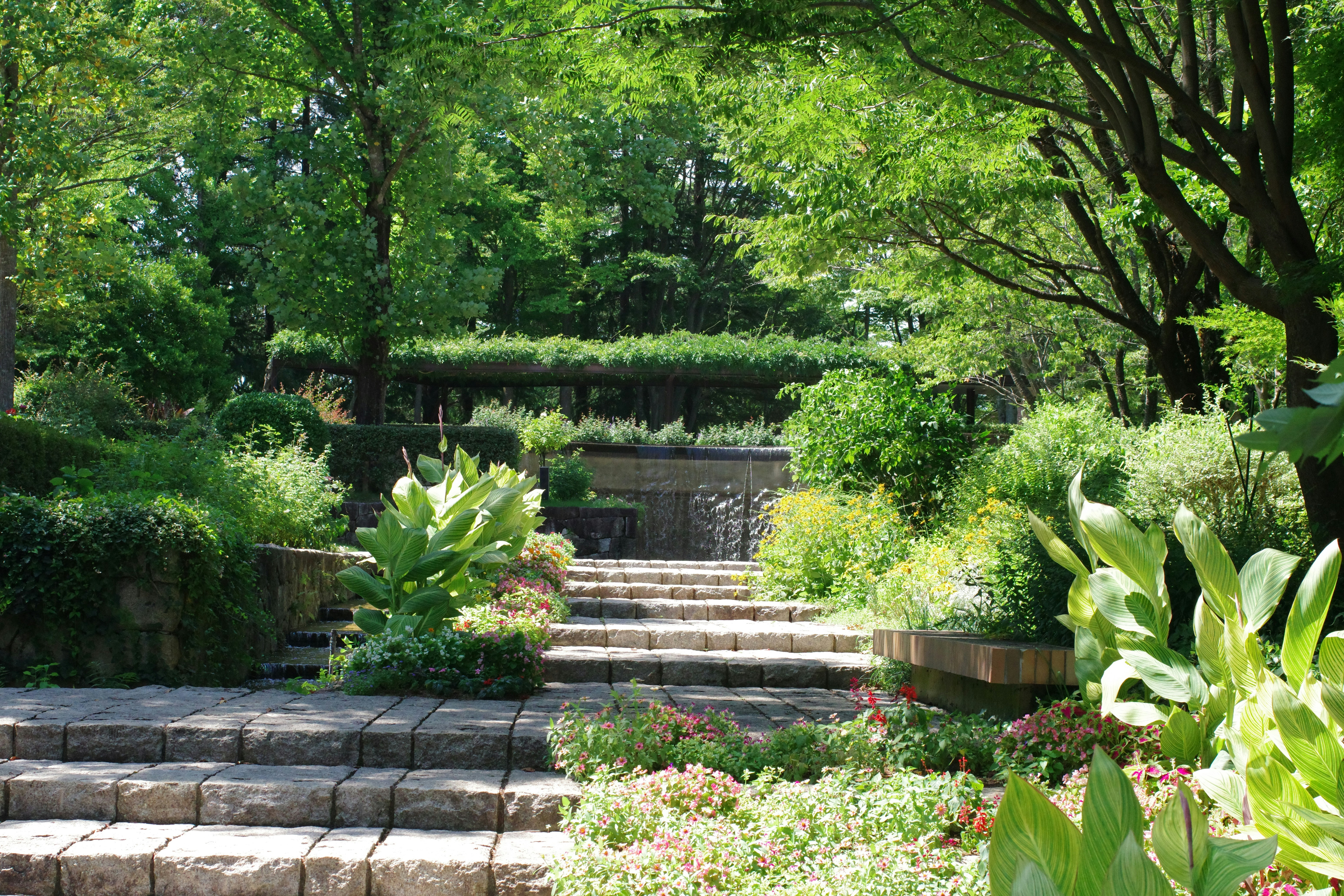 A bunch of steps that are in the grass photo – Free 食物 Image on Unsplash