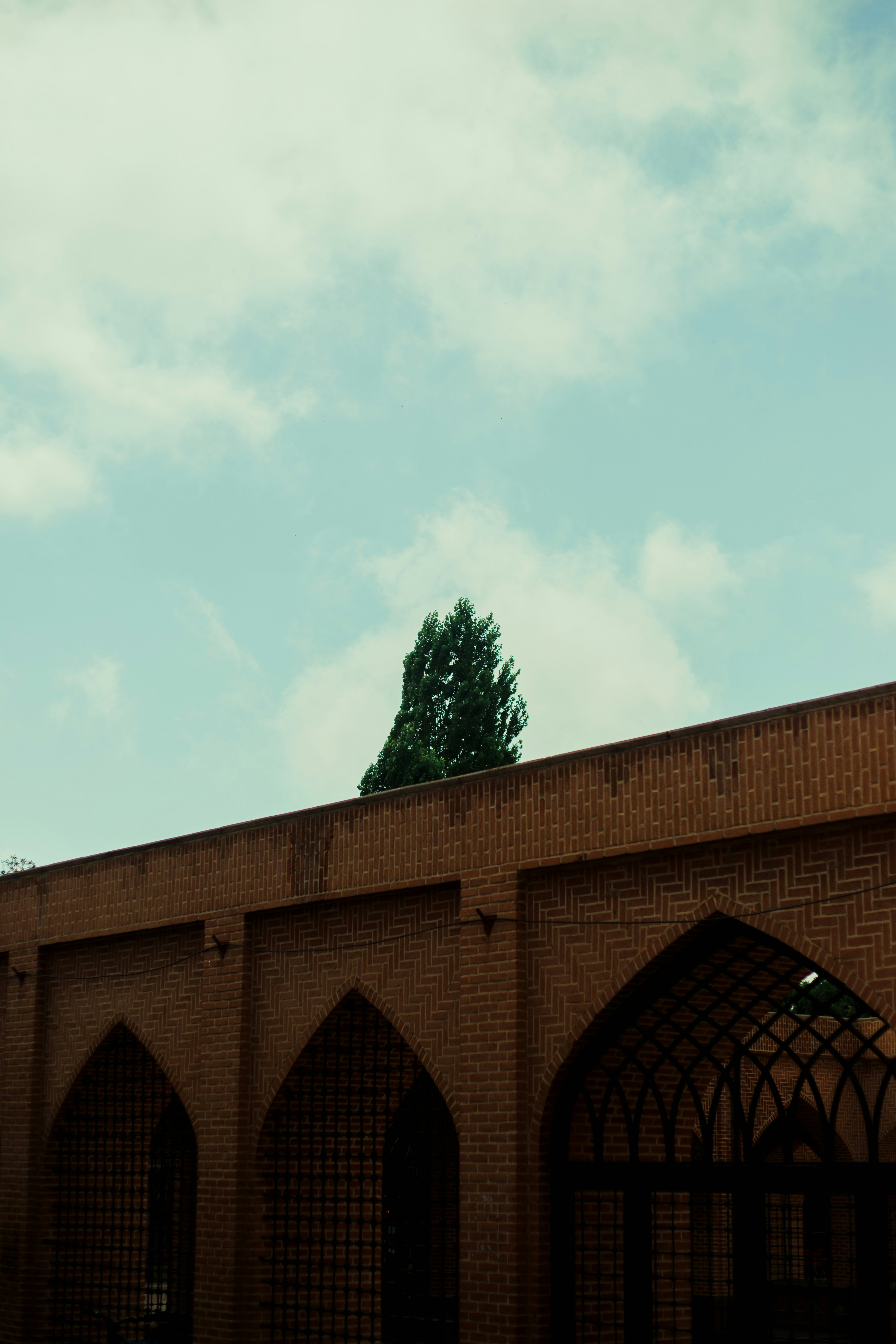 Brick Arches Beneath a Skyward Ginkgo