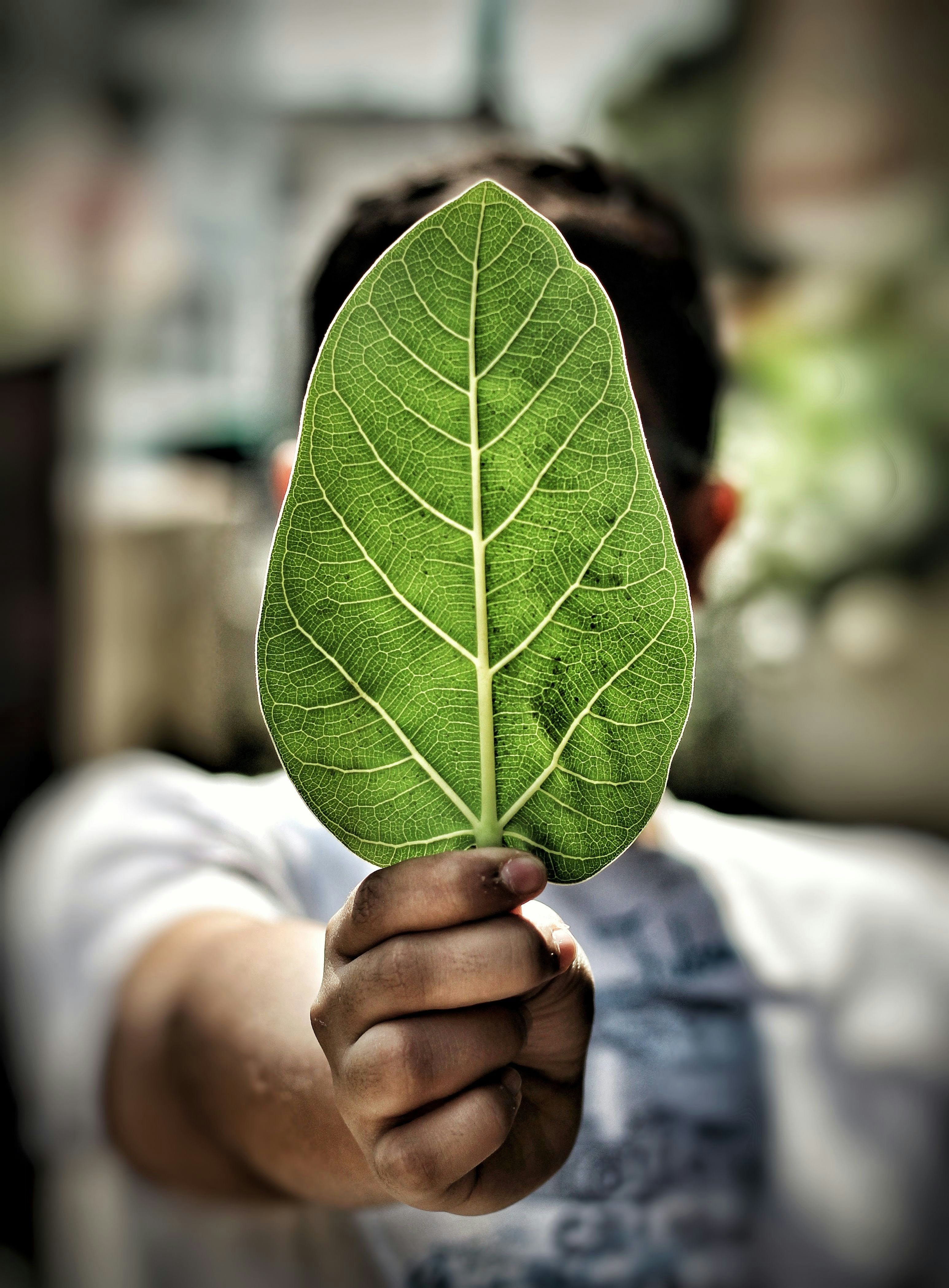 Photo by Aditya Sethia with Canon EOS 1300D