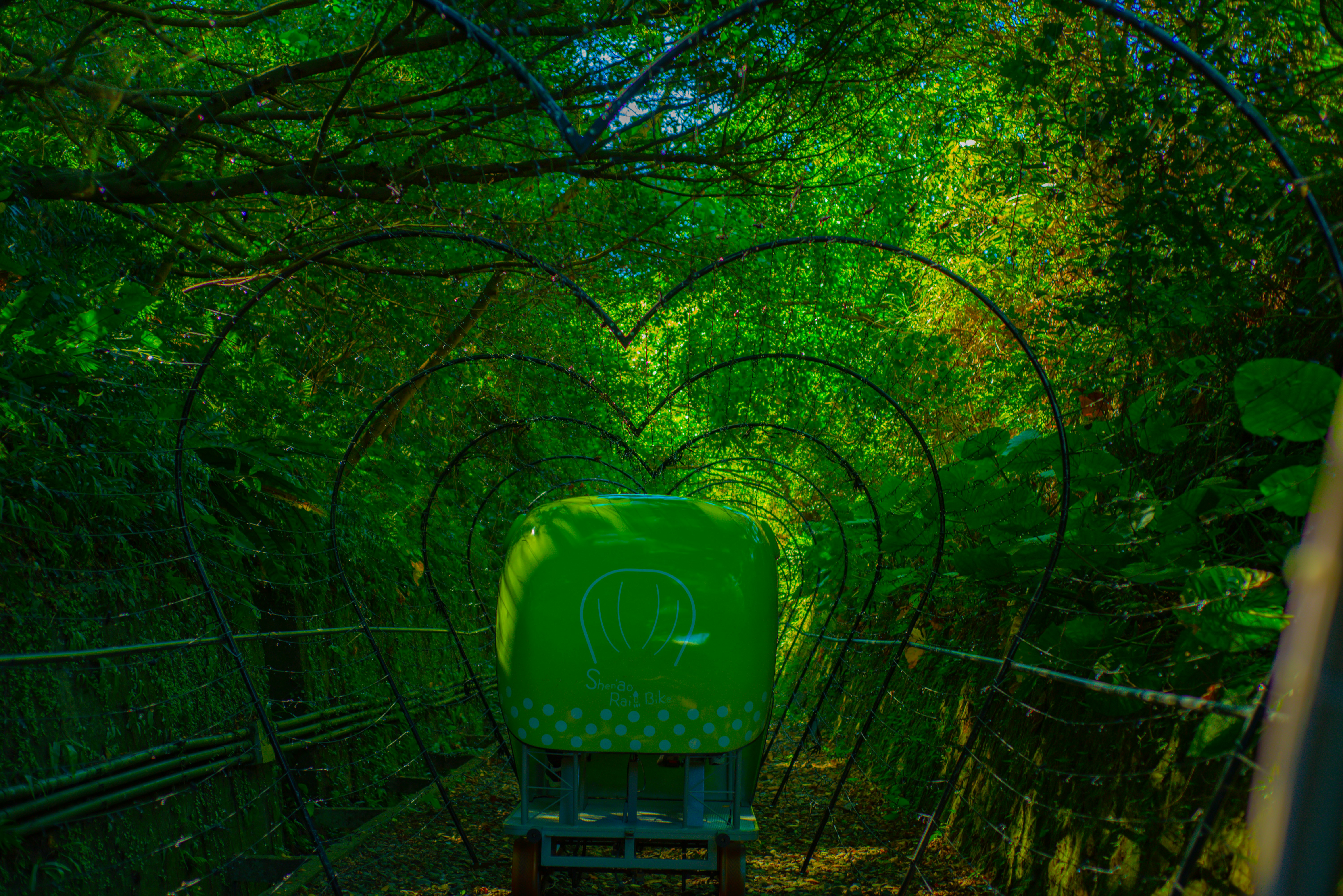 Photo by tea mask with Nikon D610