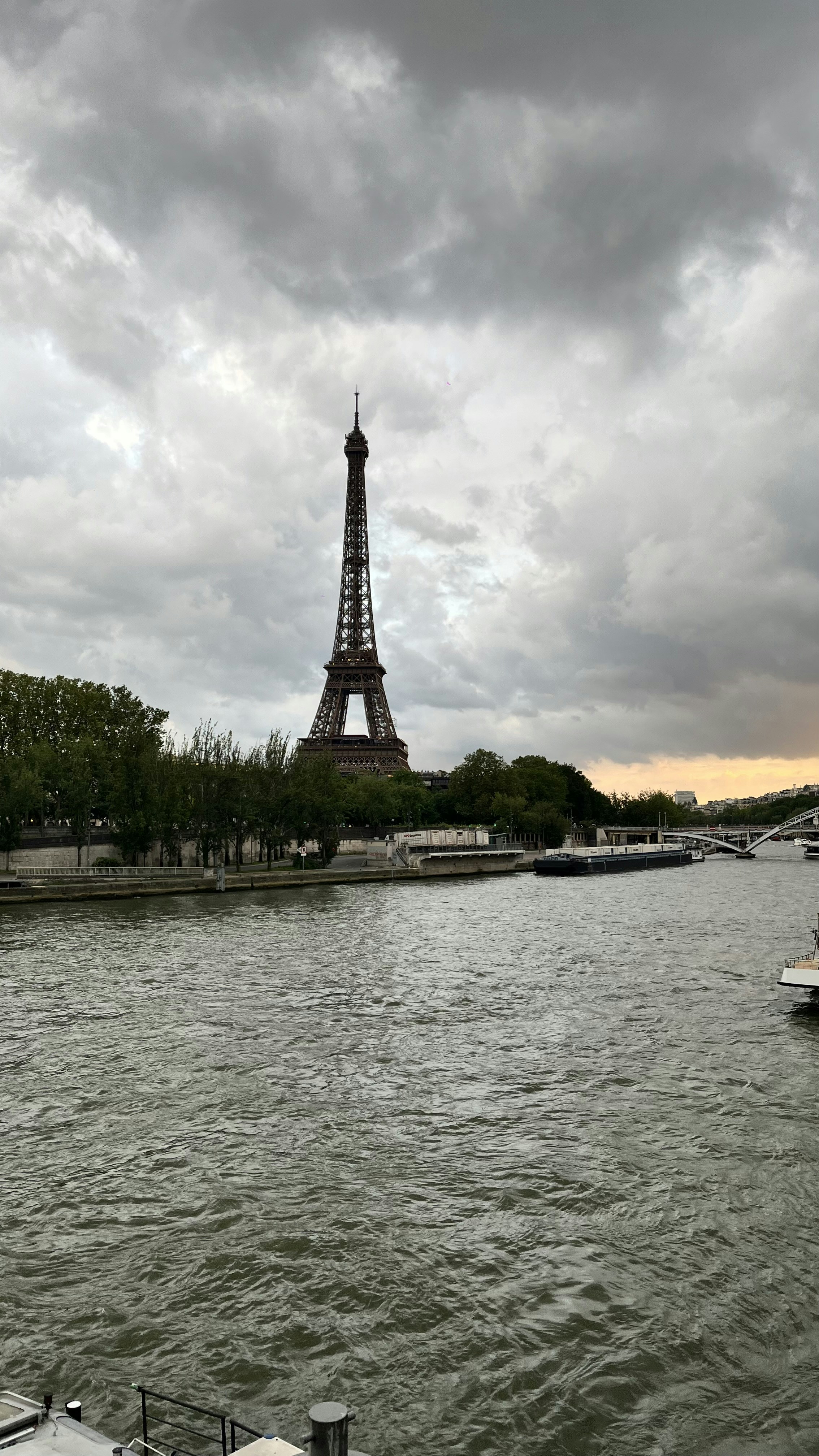 Iron Lace by the Seine: Eiffel Tower Framed in Gray Parisian Light