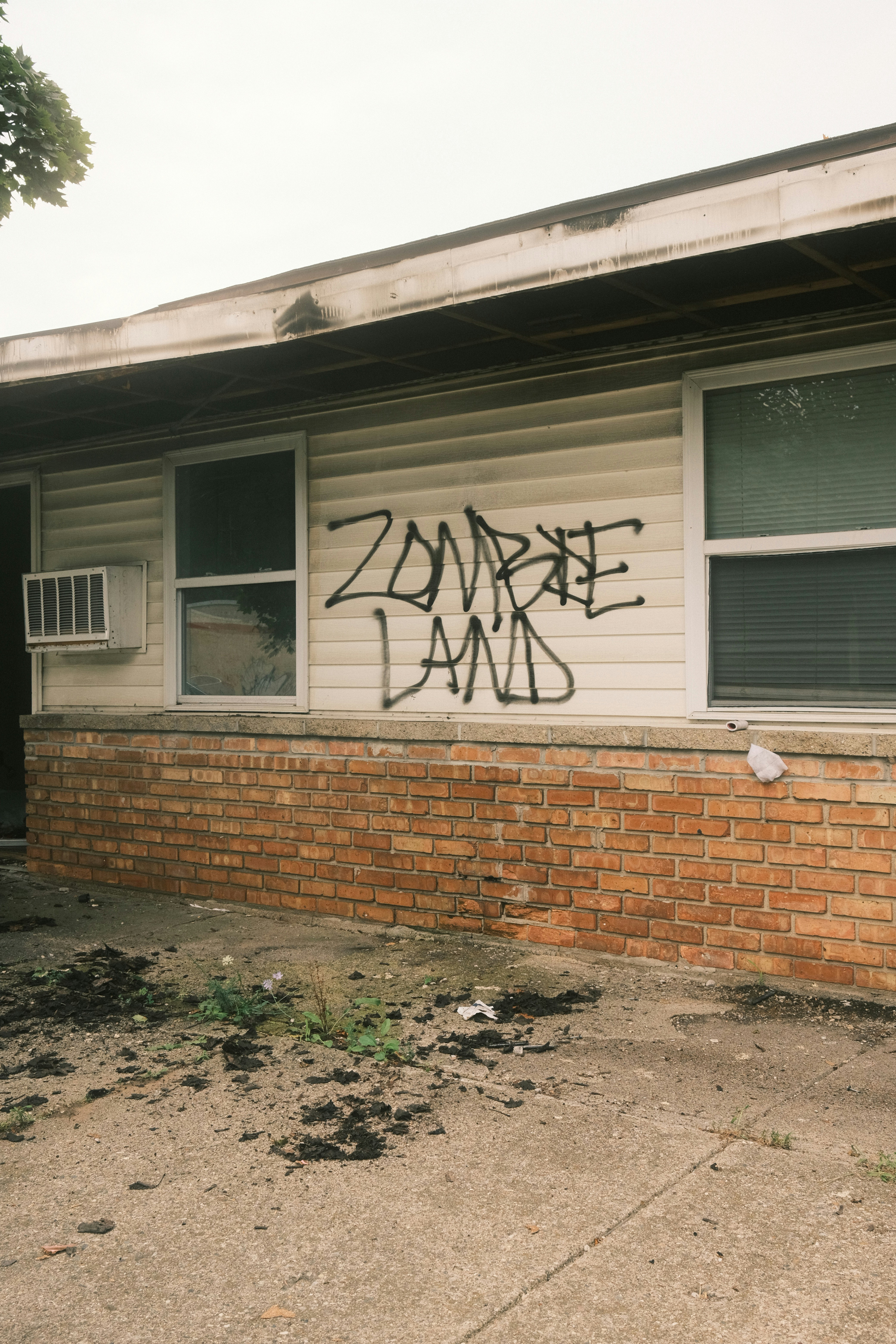 Graffiti Script on a Weathered Siding Wall