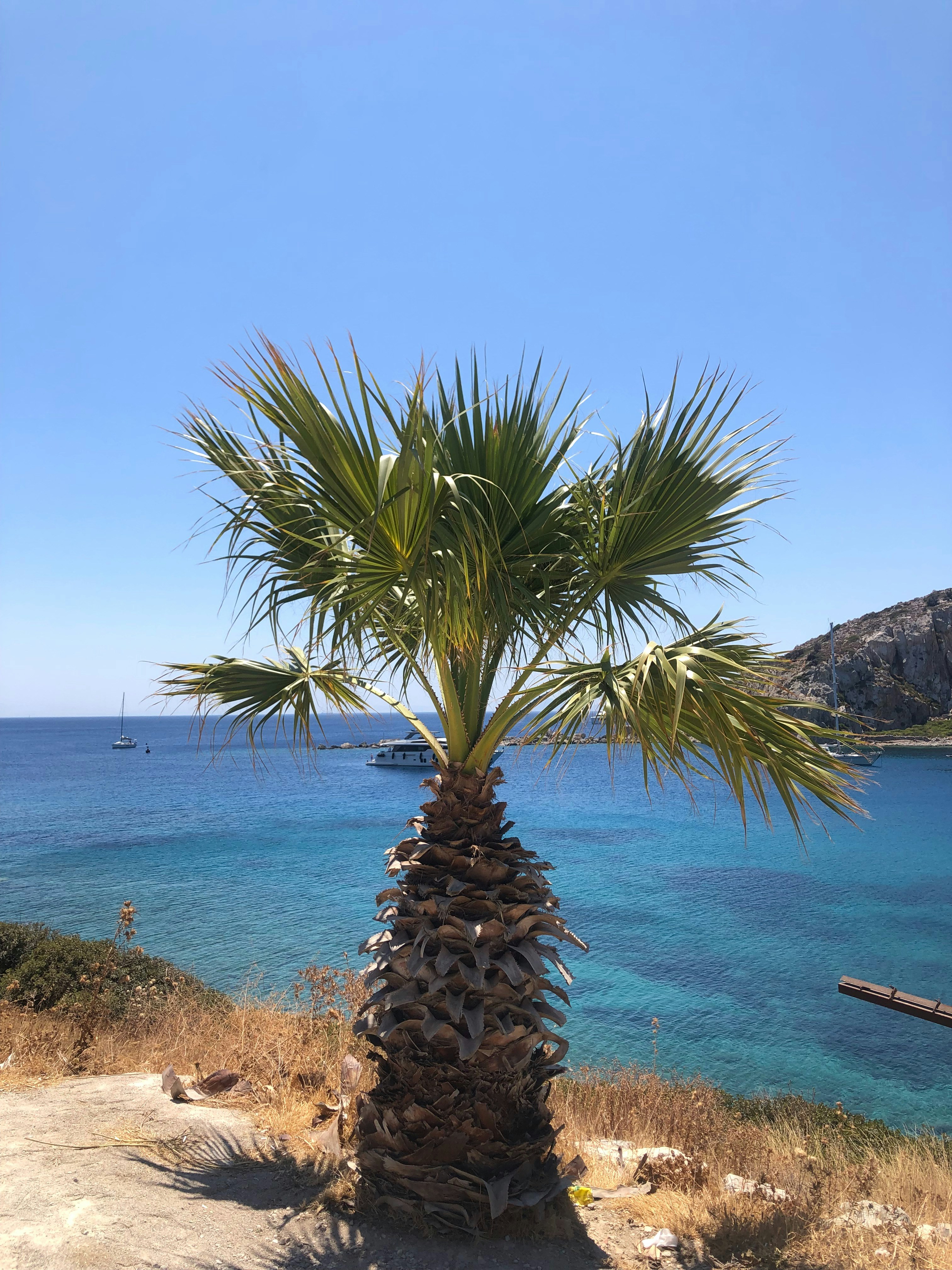 E K (@e____k) | Unsplash Photo Community