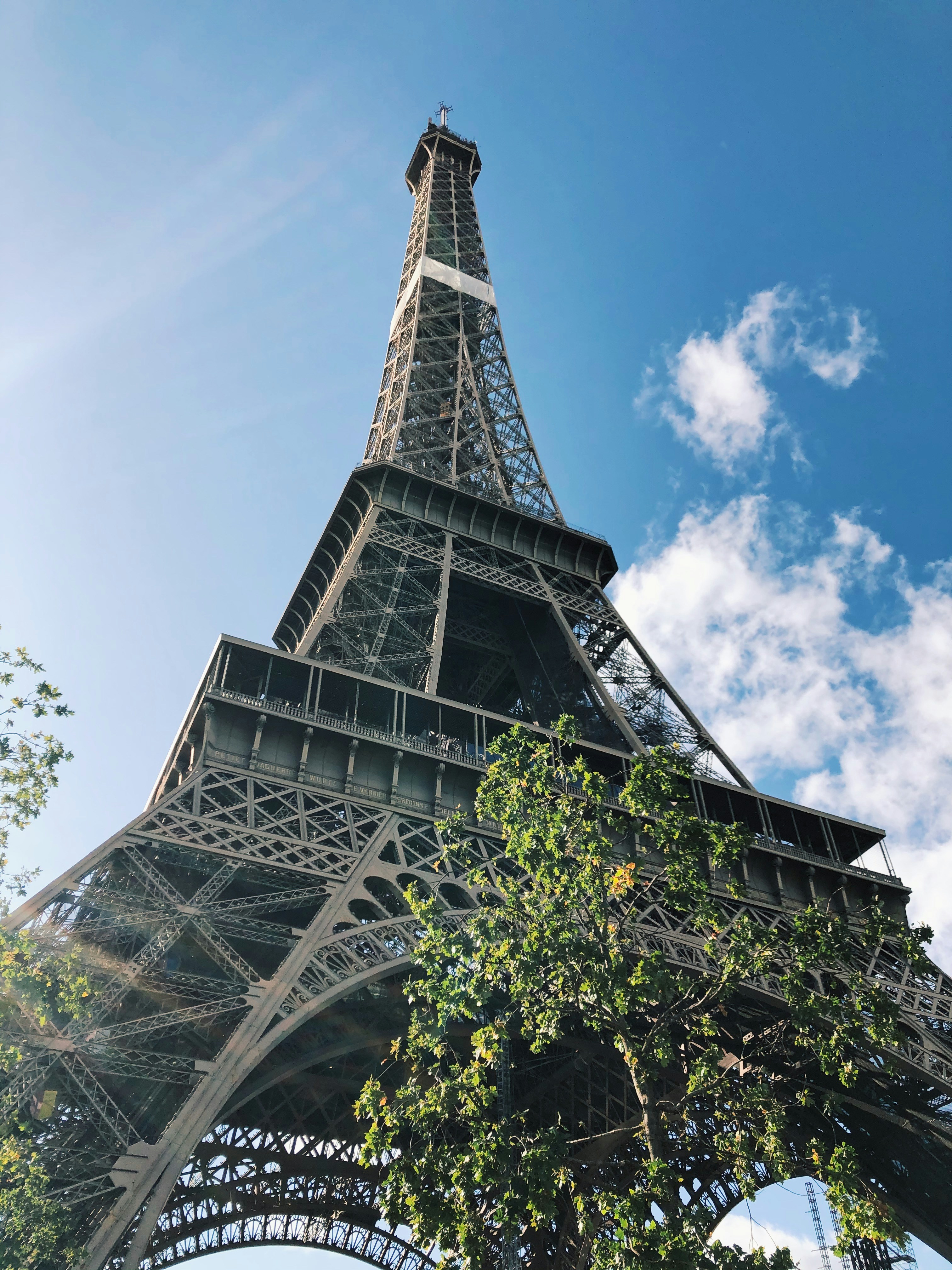 Iron Lace Ascends: Eiffel Tower Framed by Trees Against a Clear Sky