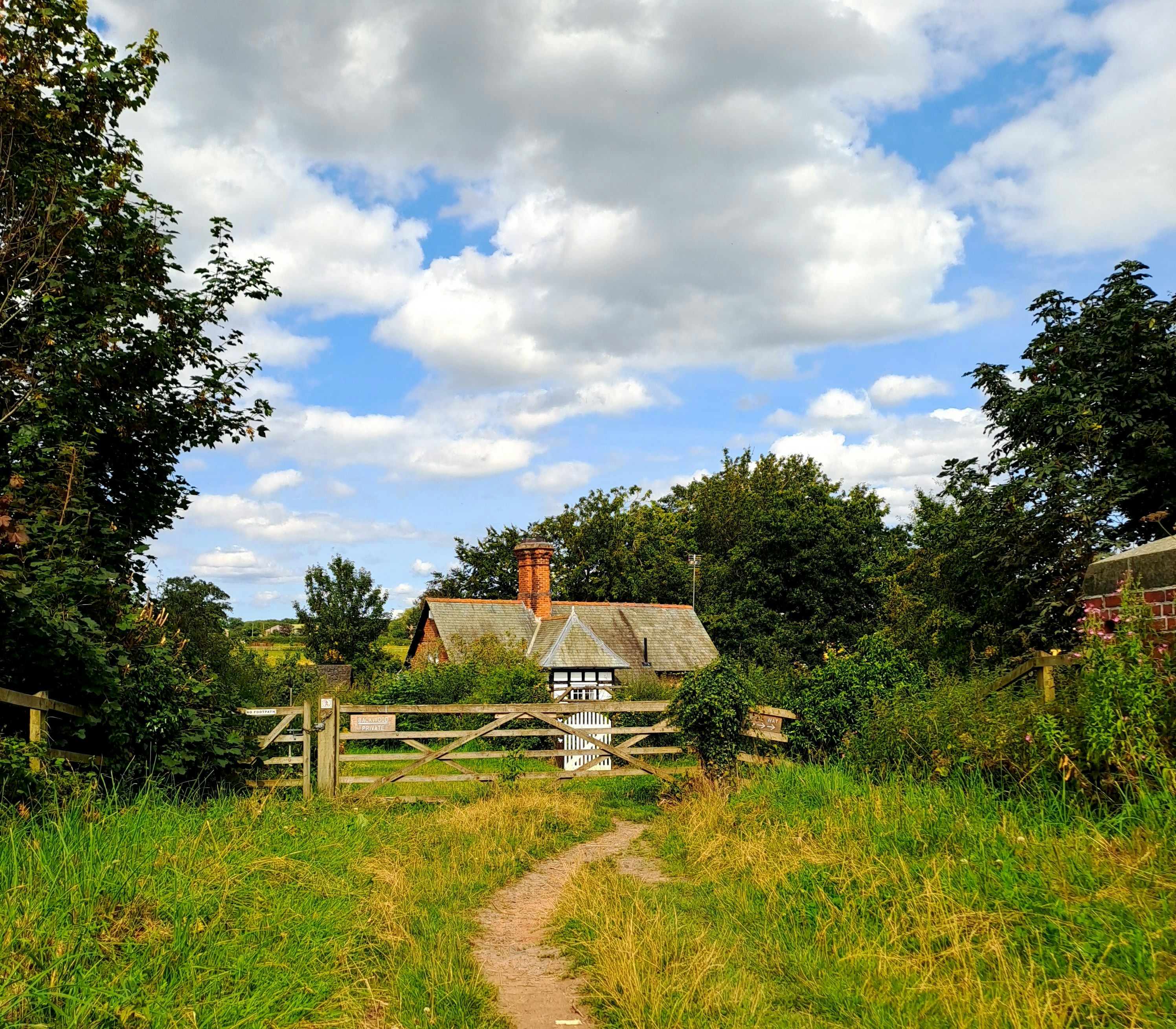 Photo by Kristen with Samsung Galaxy A33