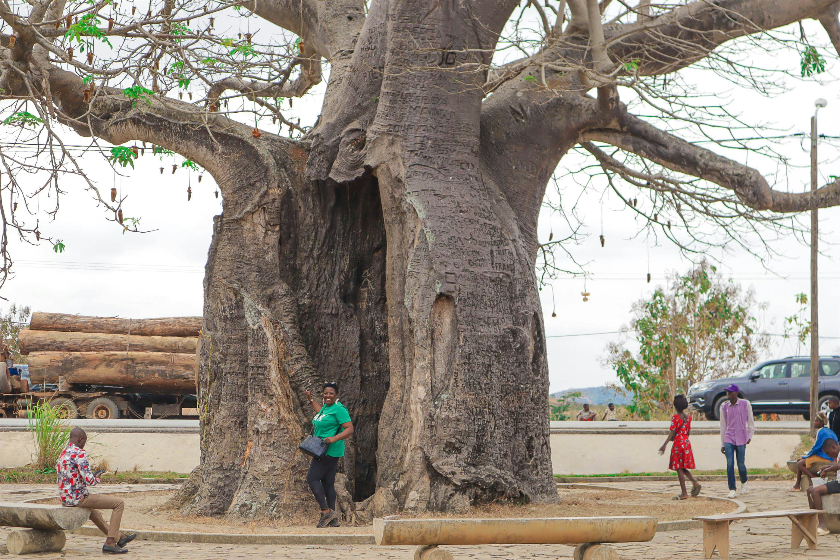 A group of people standing around a large tree photo – Free Mentalité ...