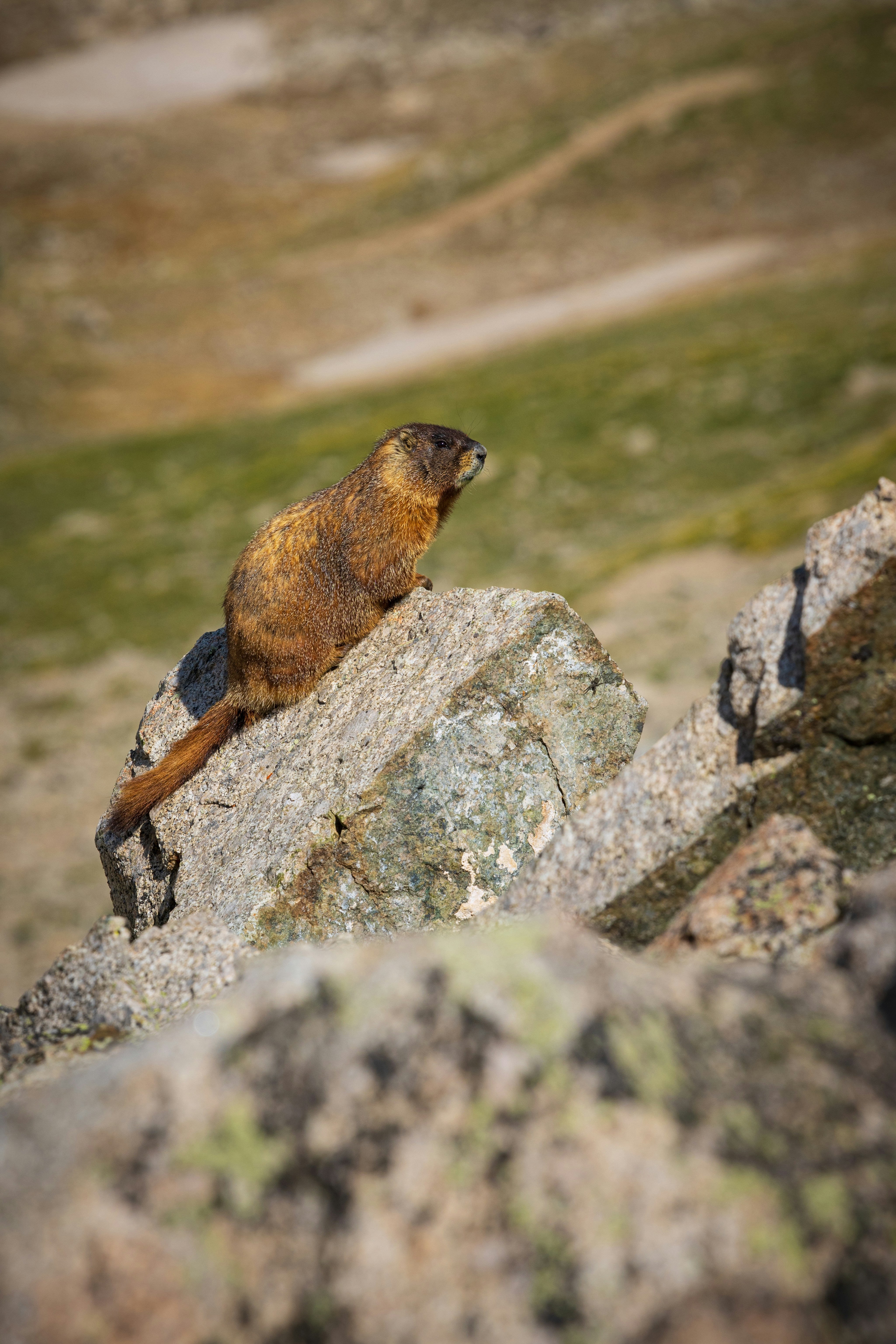 Photo by Brandon Stoll with Canon EOS R7