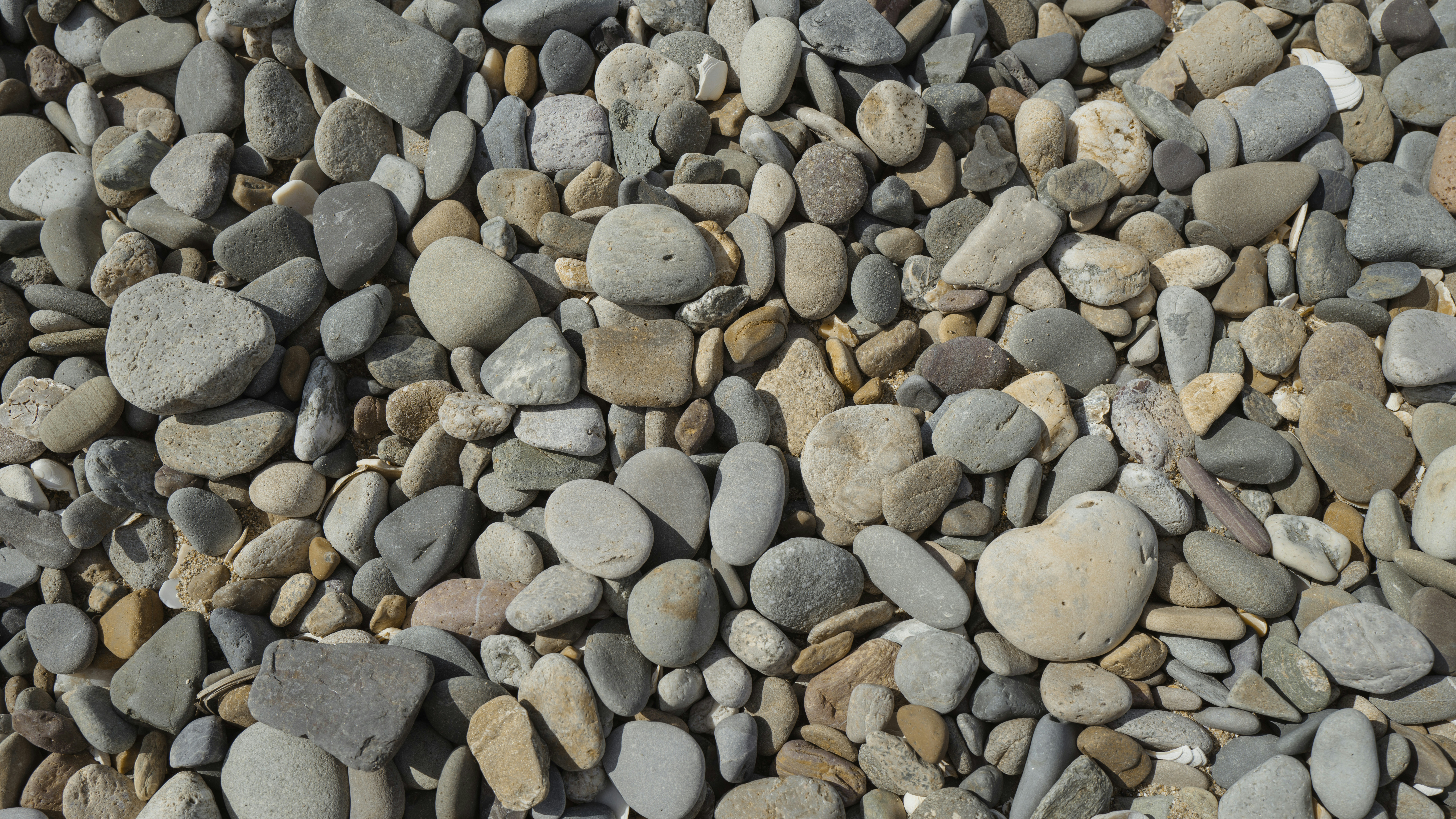 Sam Carter (@samdc) | Communauté photos Unsplash