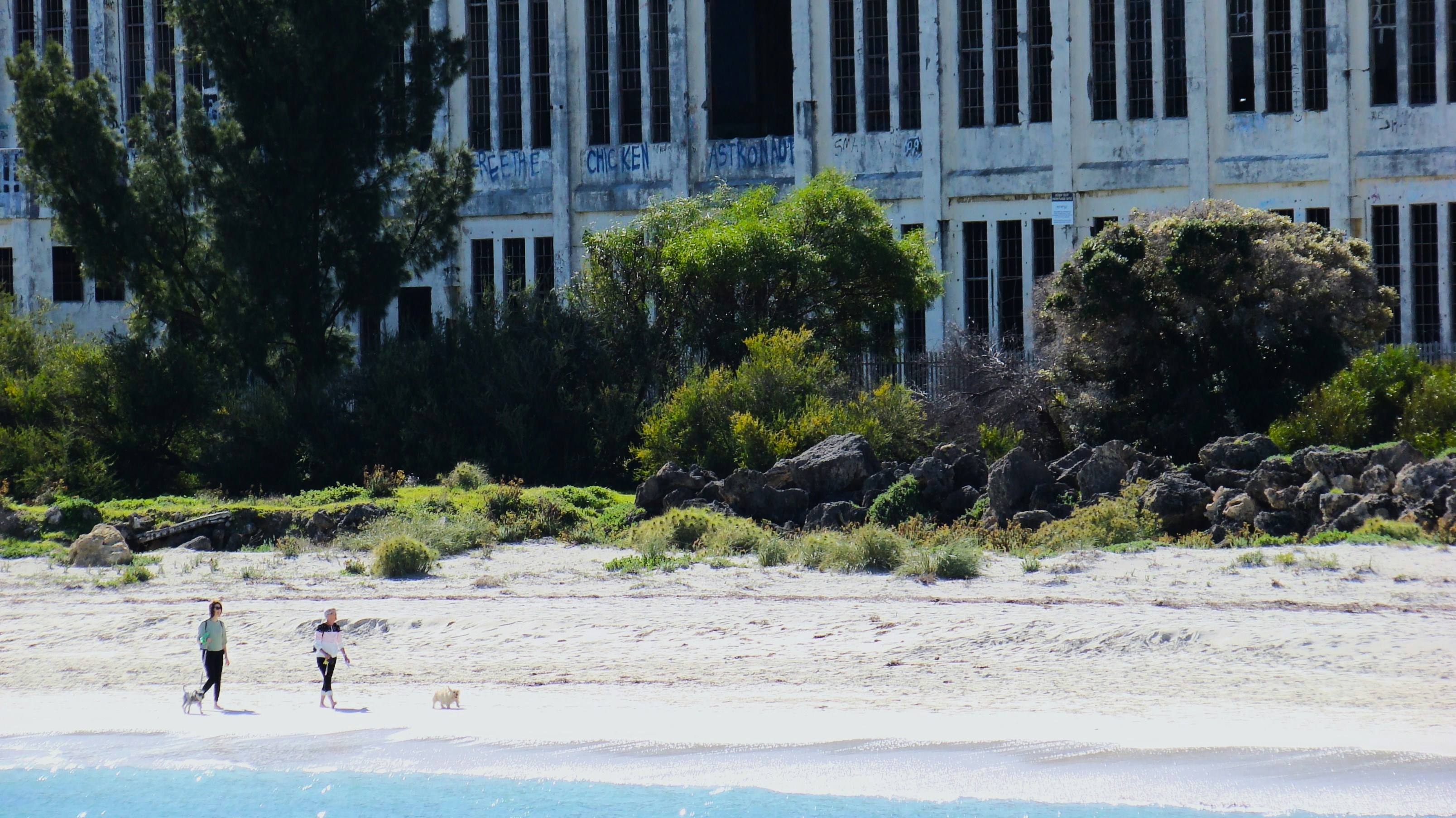 Two people walk a dog along a sunlit beach, with a distant industrial building framed by rocks and trees.