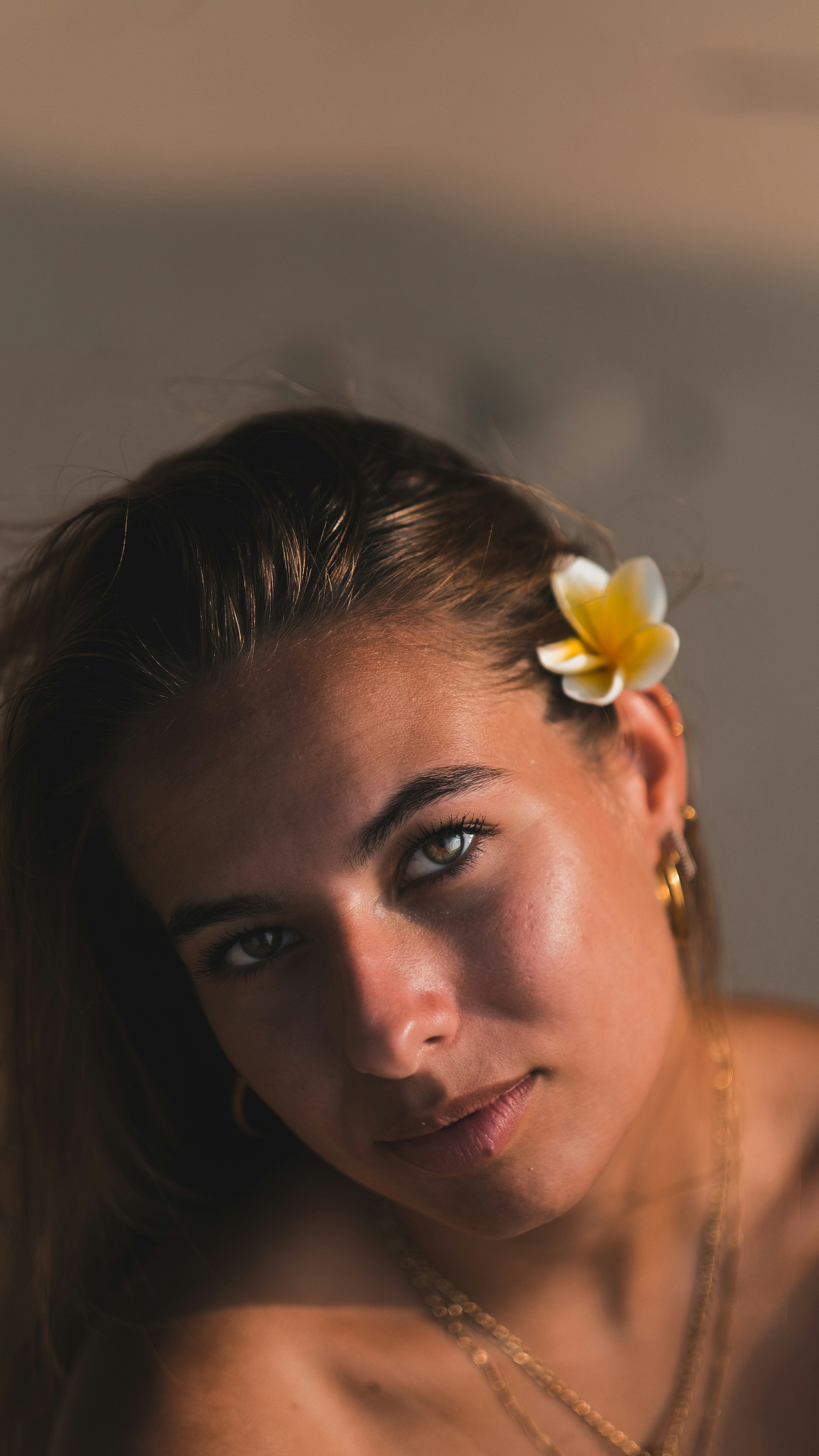 Frangipani at Golden Hour: An Intimate Portrait of Warm Light and Quiet Confidence