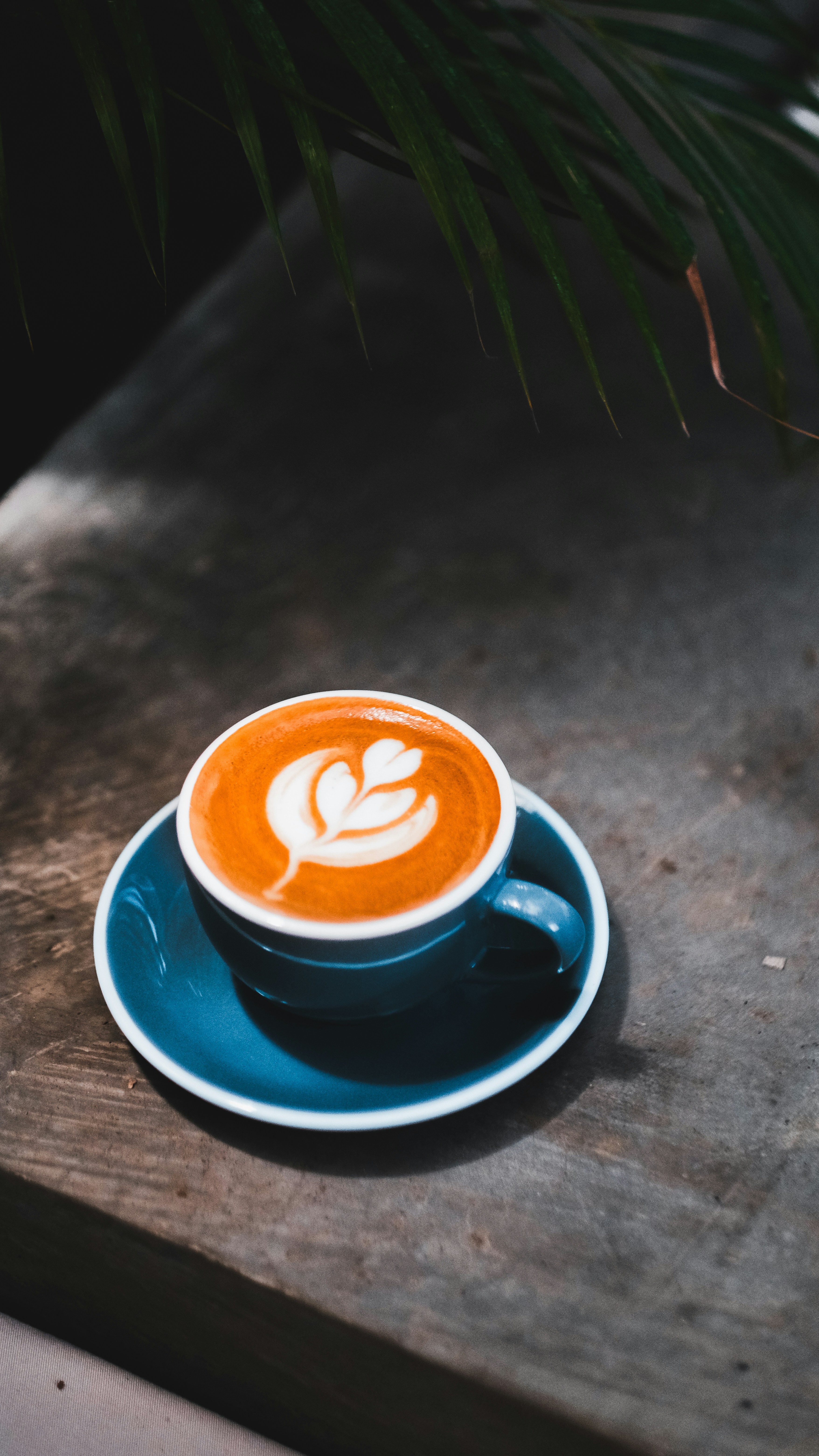 Blue Coffee Hour: Espresso Art in a Quiet Corner